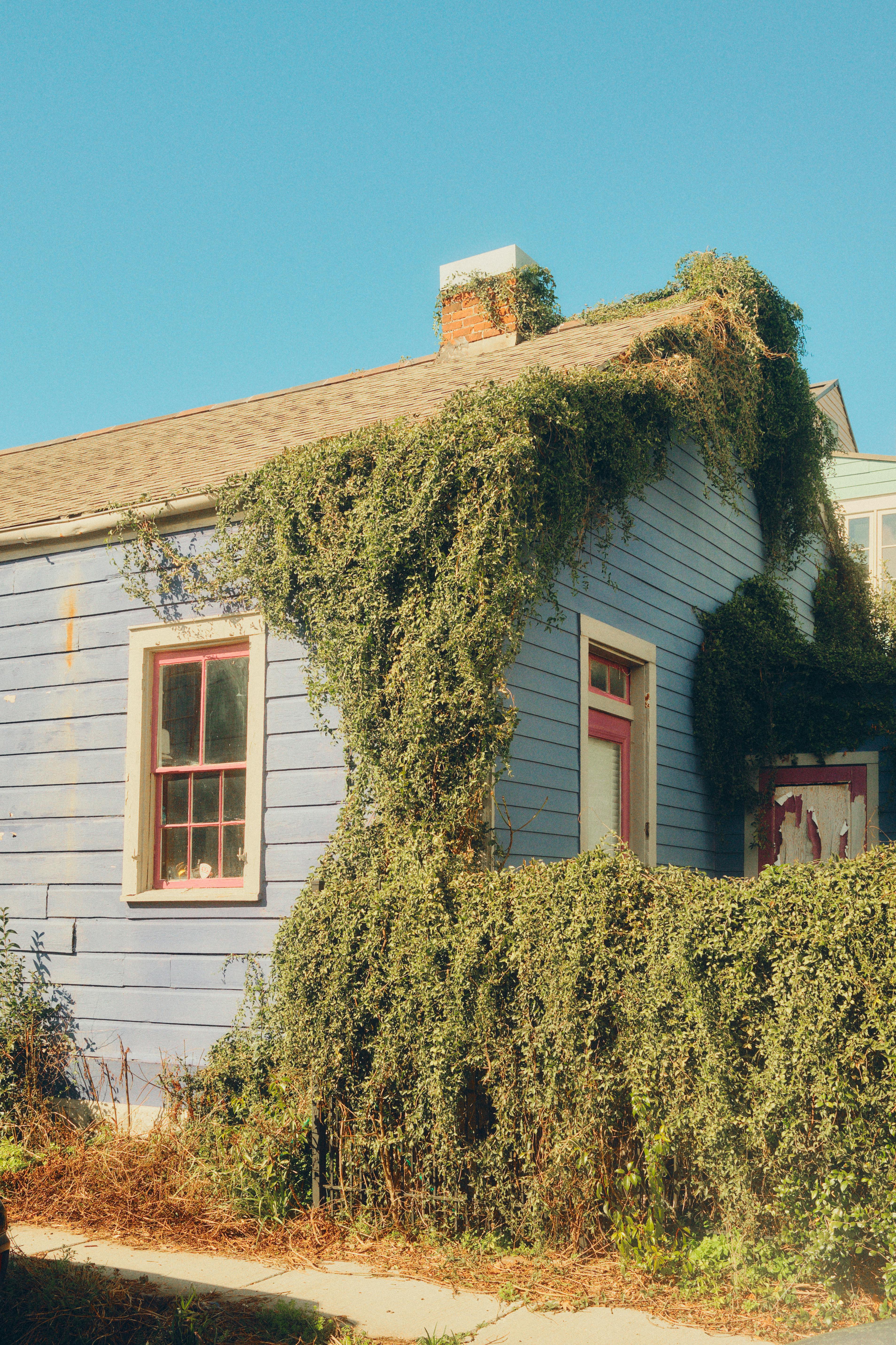 Charming Overgrown House in New Orleans · Free Stock Photo