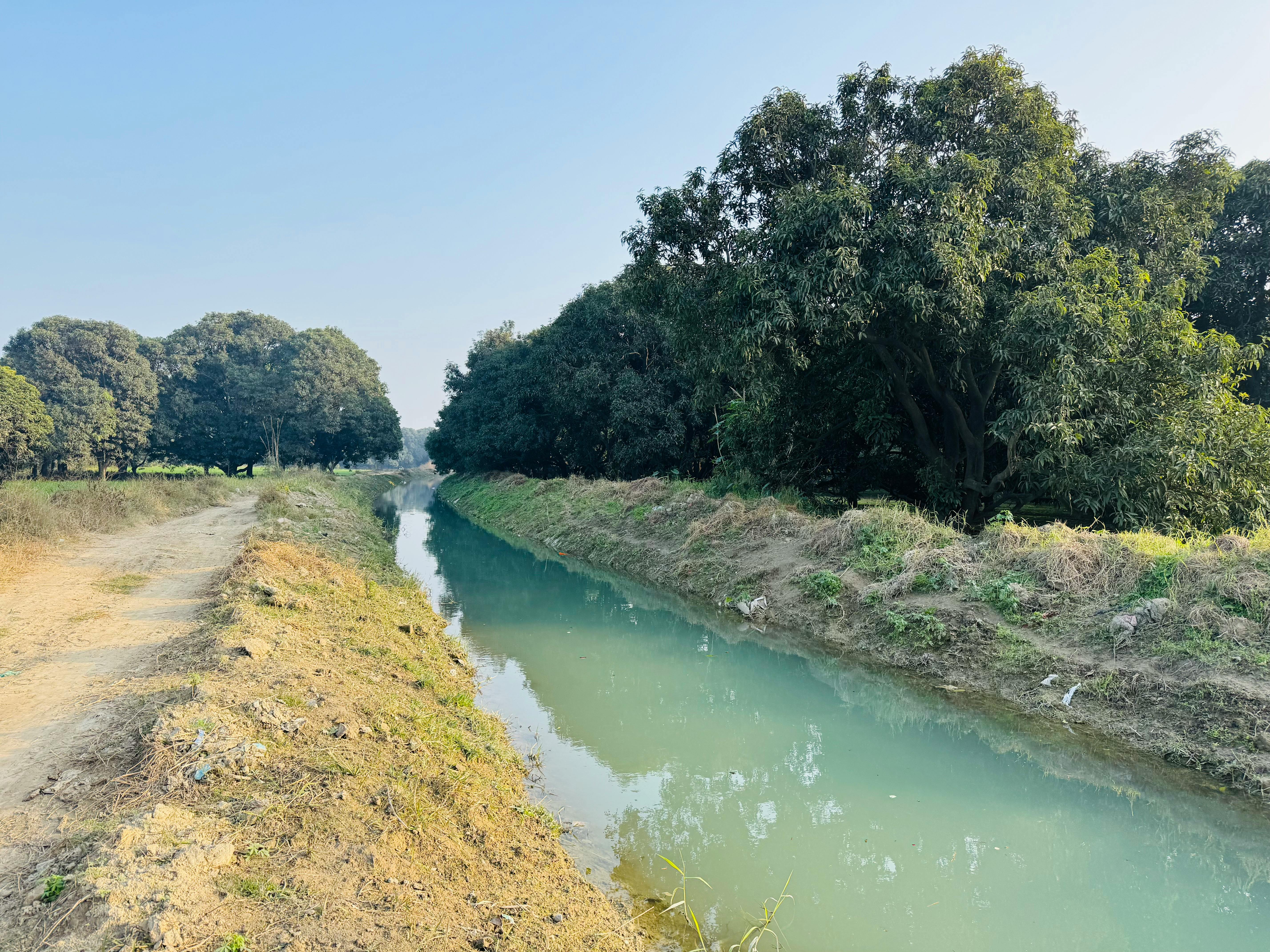 Serene Canal Landscape in Gulaothi, India · Free Stock Photo