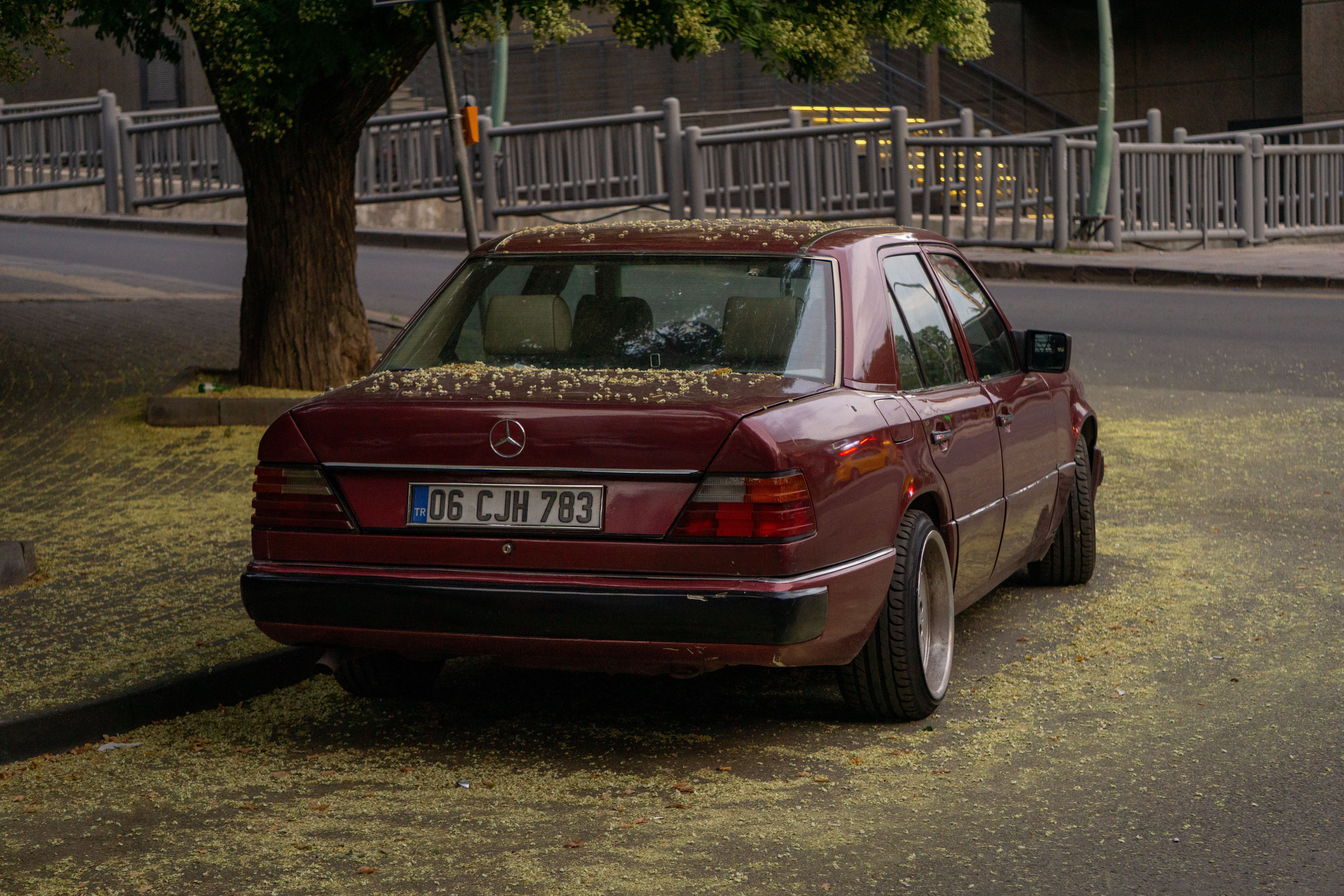 Classic Mercedes Car Under Tree with Fallen Leaves · Free Stock Photo