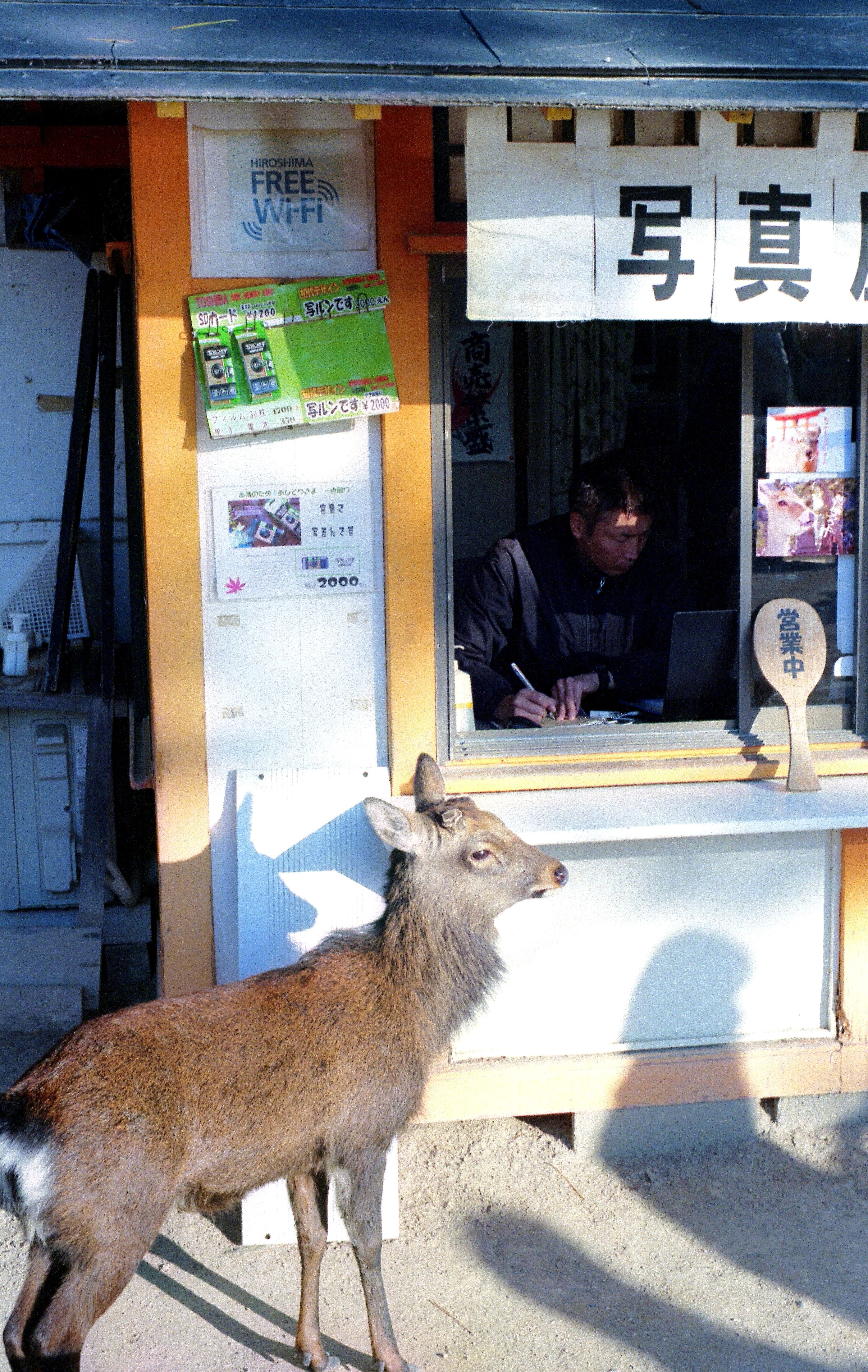 Jhon Deer Photos, Download The BEST Free Jhon Deer Stock Photos & HD Images