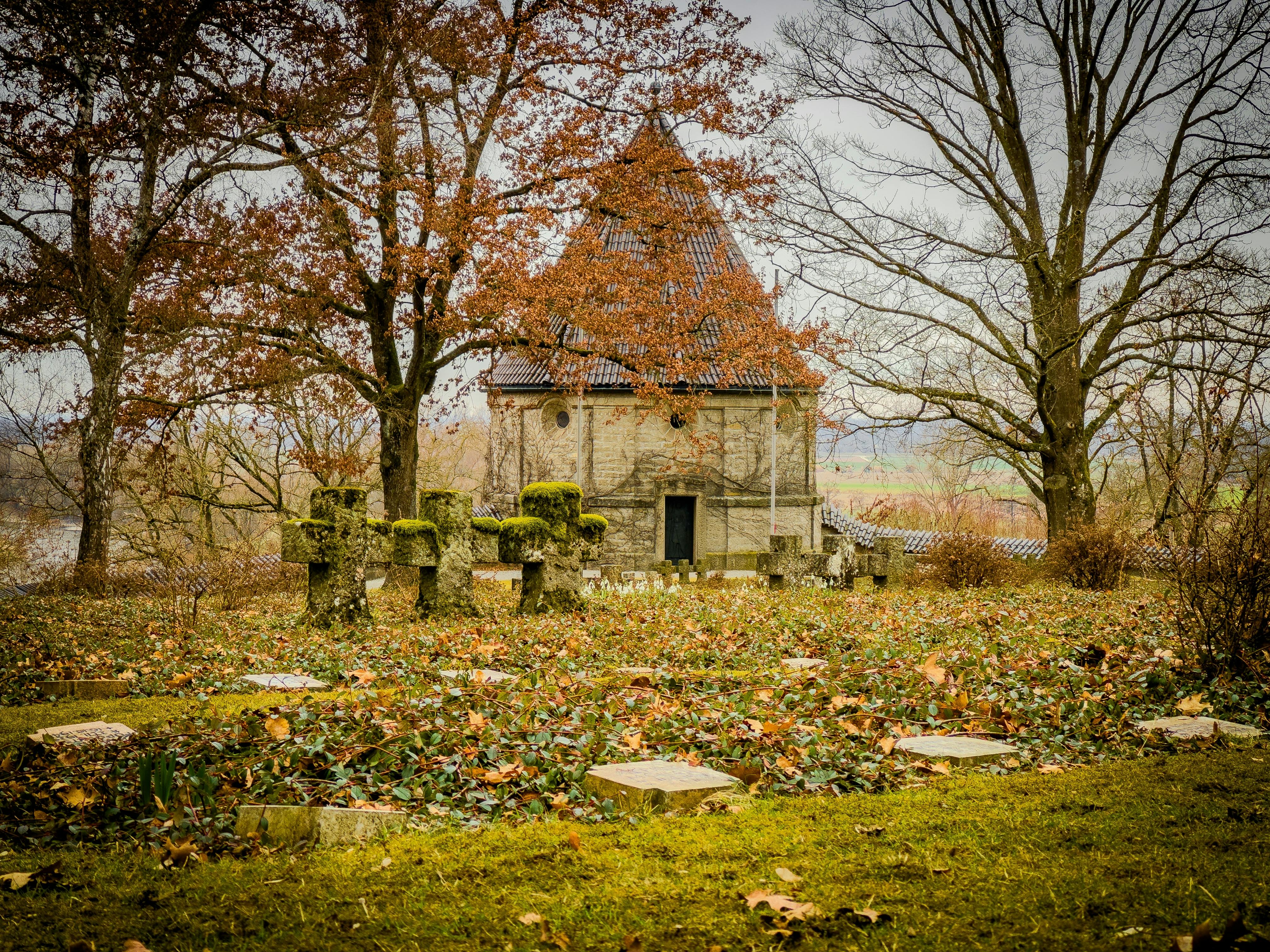 No Remember Photos, Download The BEST Free No Remember Stock Photos ...