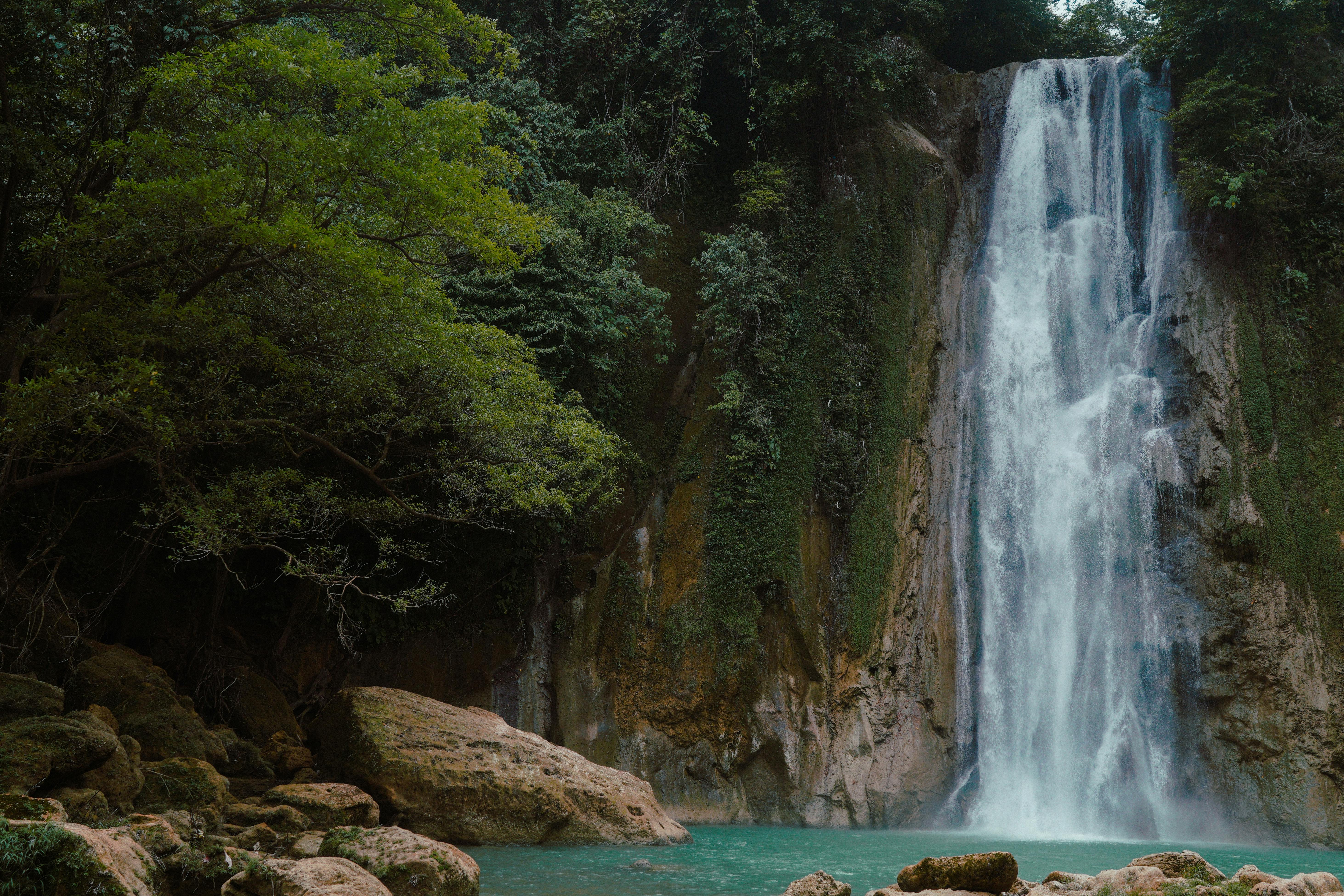Air Terjun Yang Tenang Di Hutan Yang Rimbun · Foto Stok Gratis