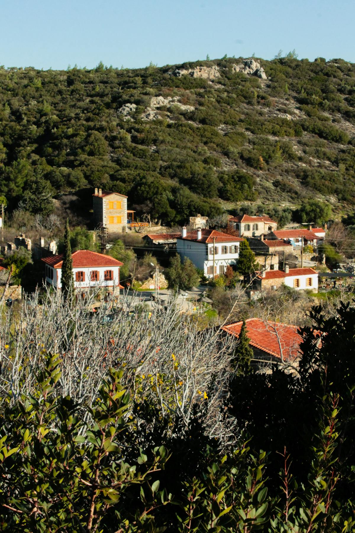 Mediterranean Sea Photos, Download The BEST Free Mediterranean Sea ...