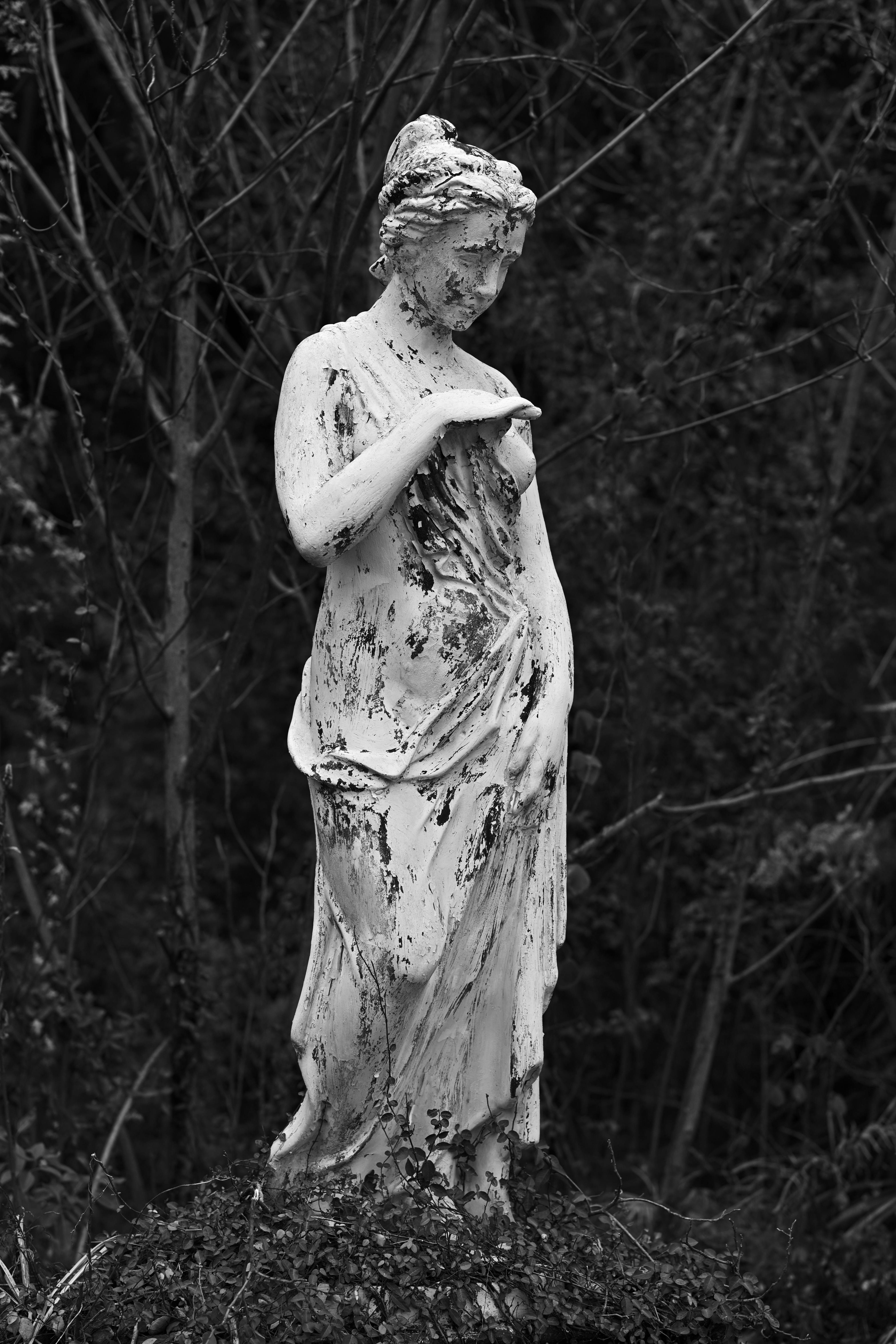 Weathered Marble Statue in Overgrown Garden · Free Stock Photo