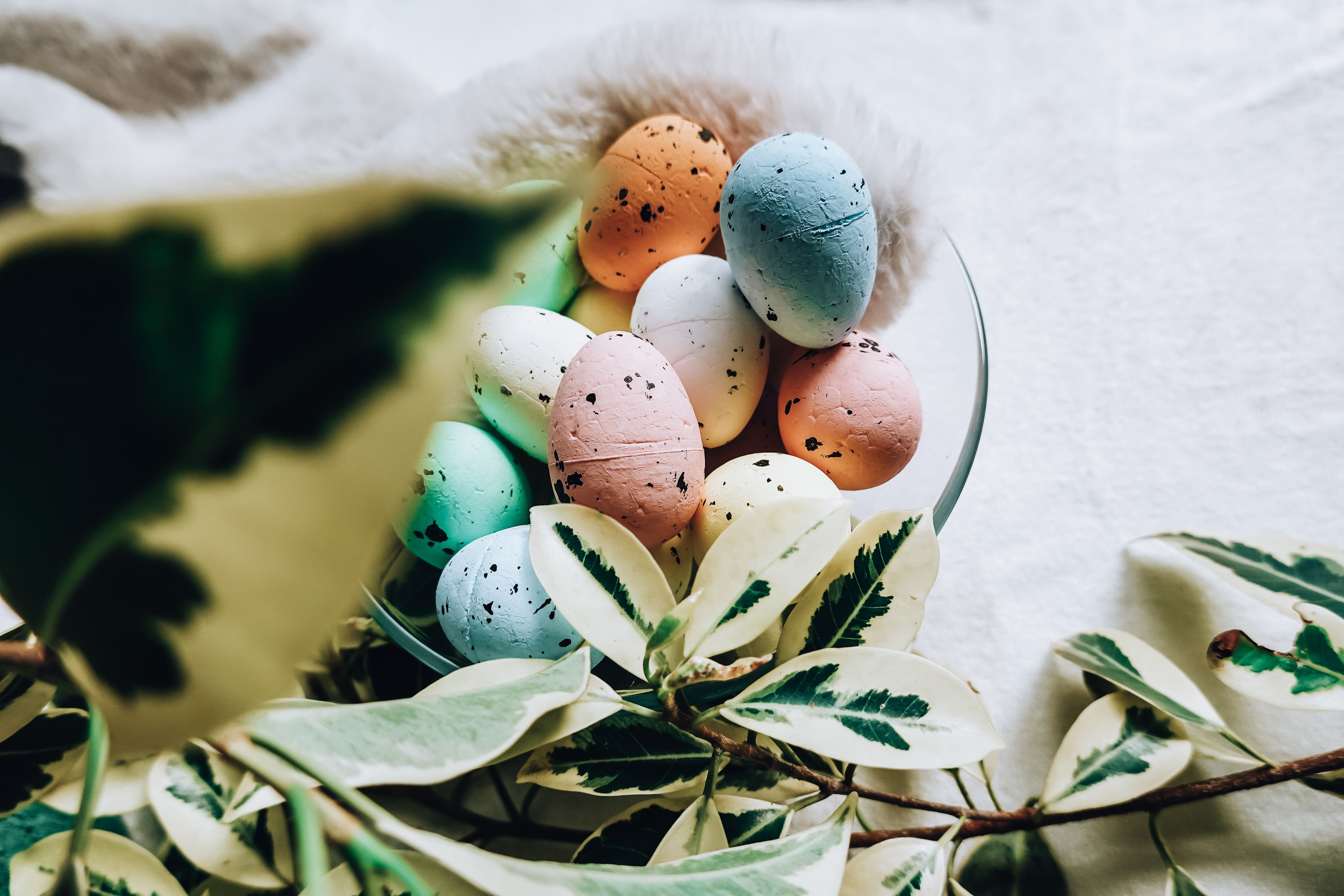 Easter Vibes Photos, Download The BEST Free Easter Vibes Stock Photos ...