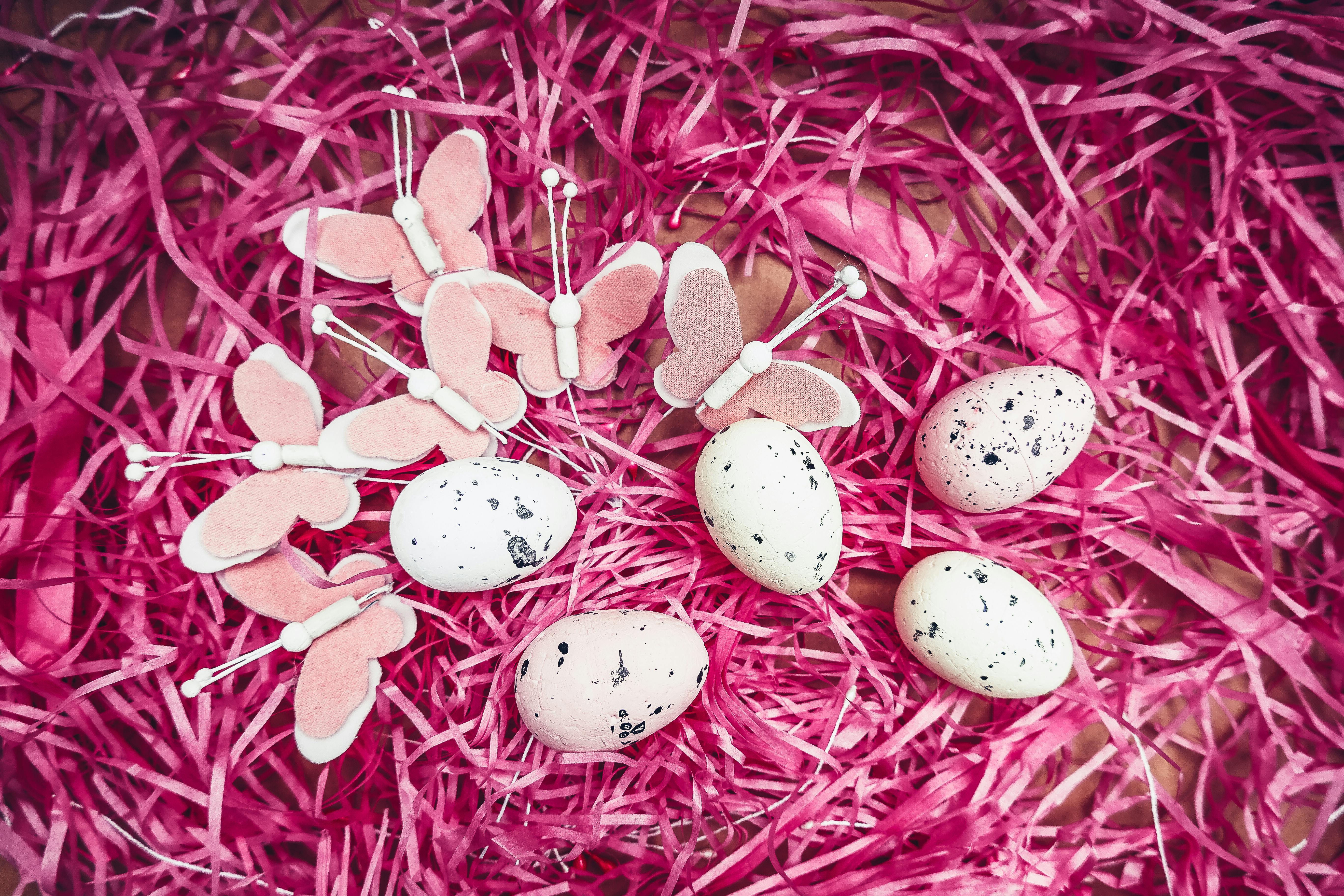 Scroller+Butterfly+Wings Photos, Download The BEST Free Scroller ...