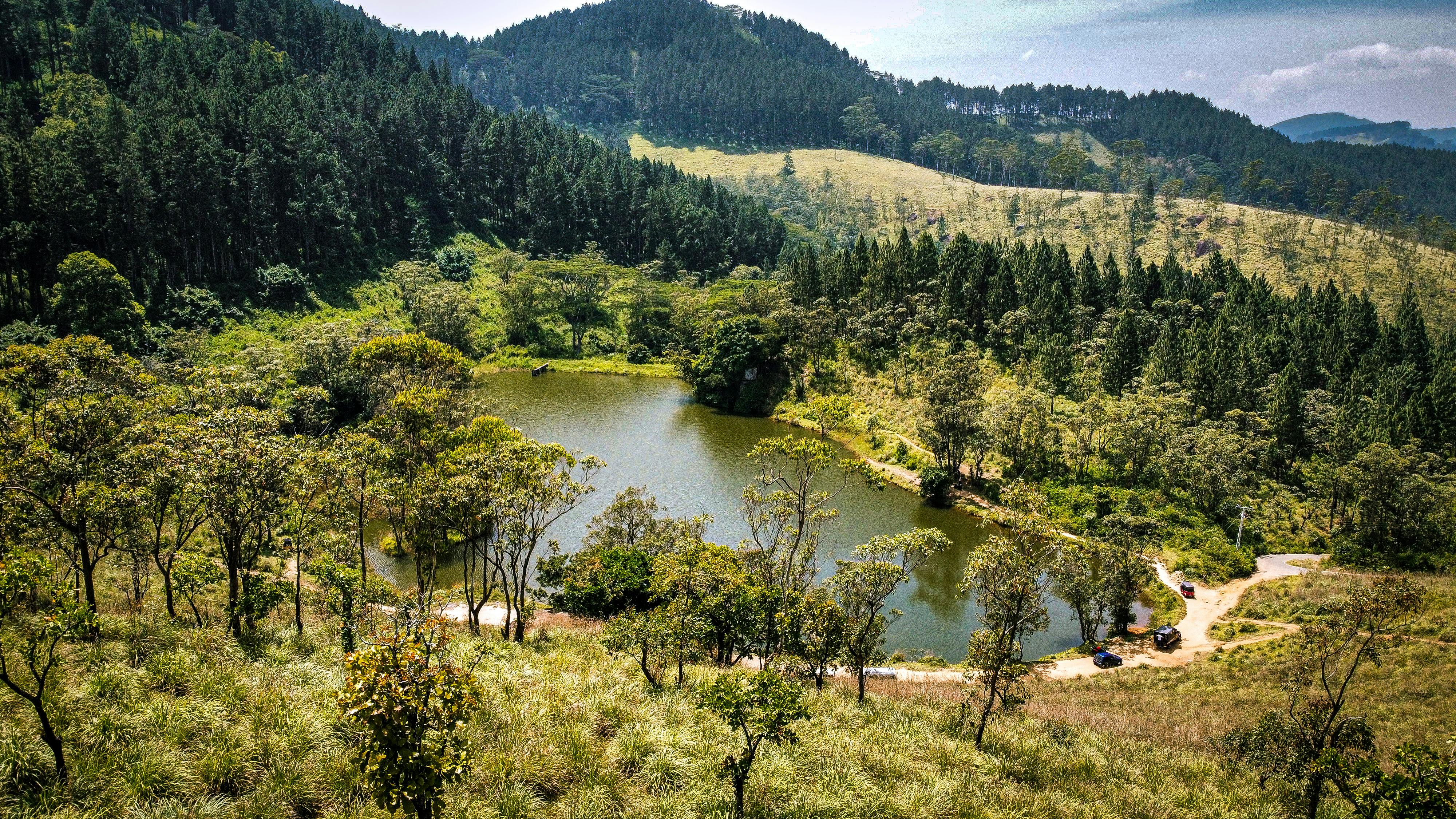 Stunning Aerial View of Lush Forest and Lake · Free Stock Photo
