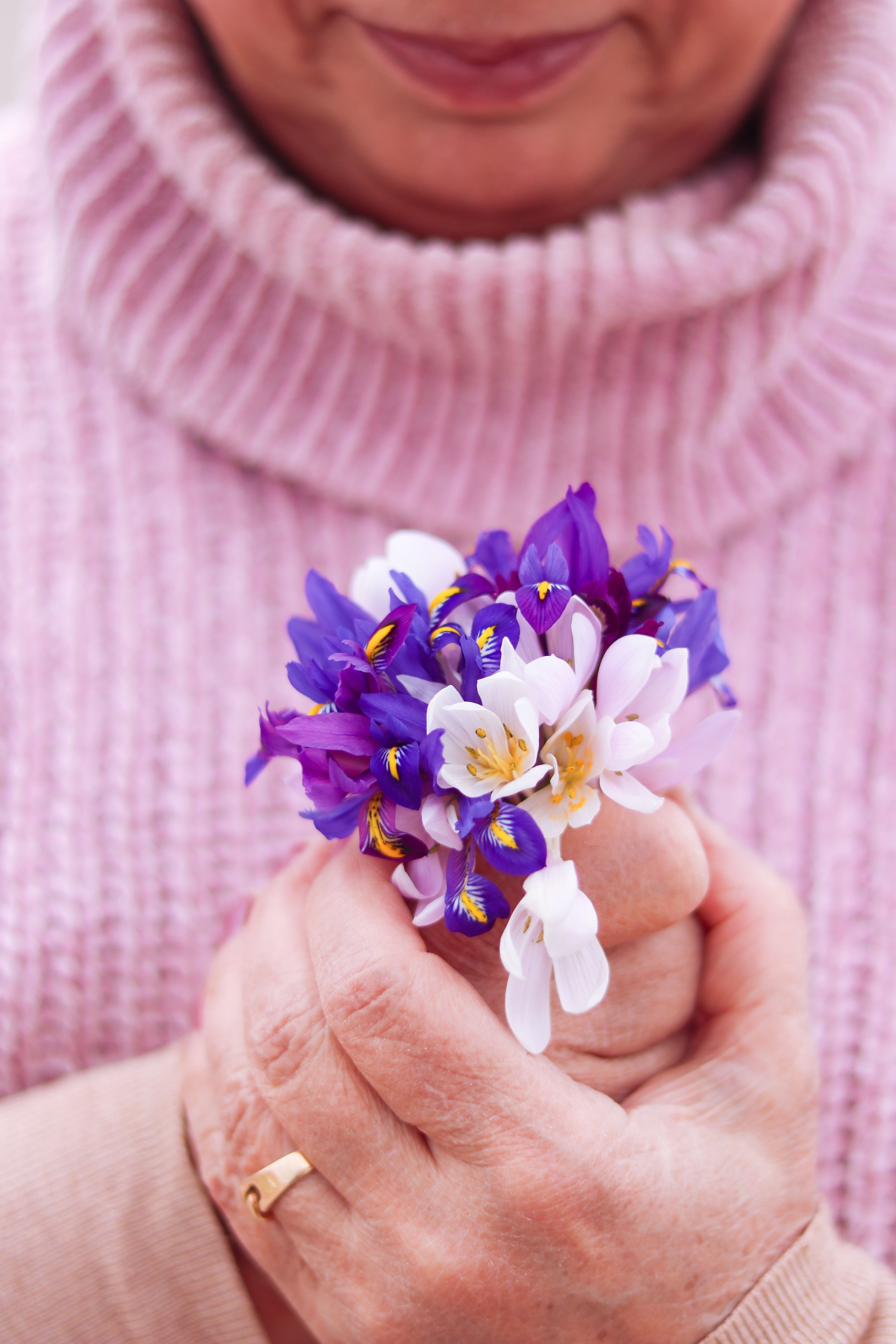 Pink Crocus Photos, Download The BEST Free Pink Crocus Stock Photos ...