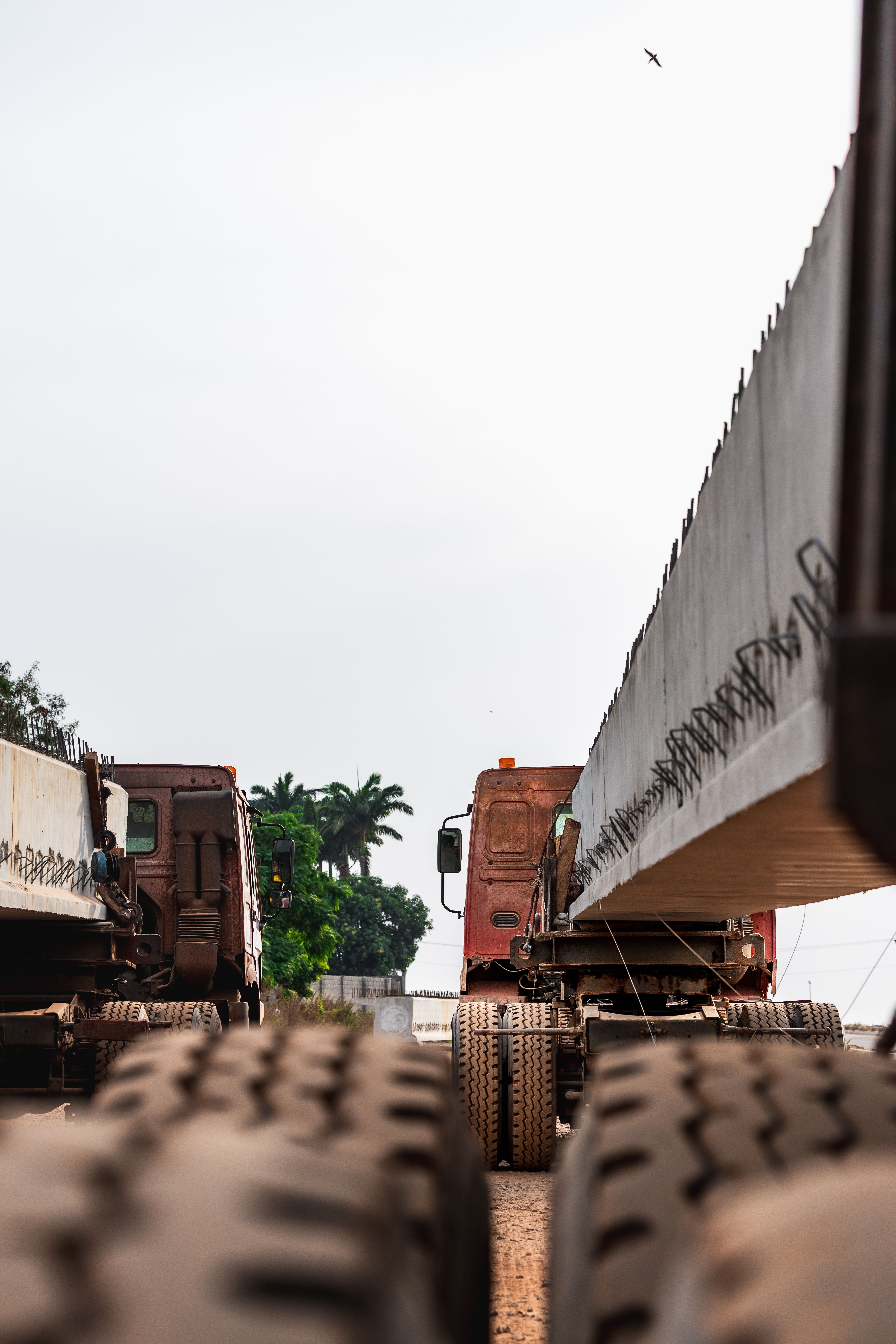Heavy Trucks Transporting Concrete Beams Outdoors · Free Stock Photo