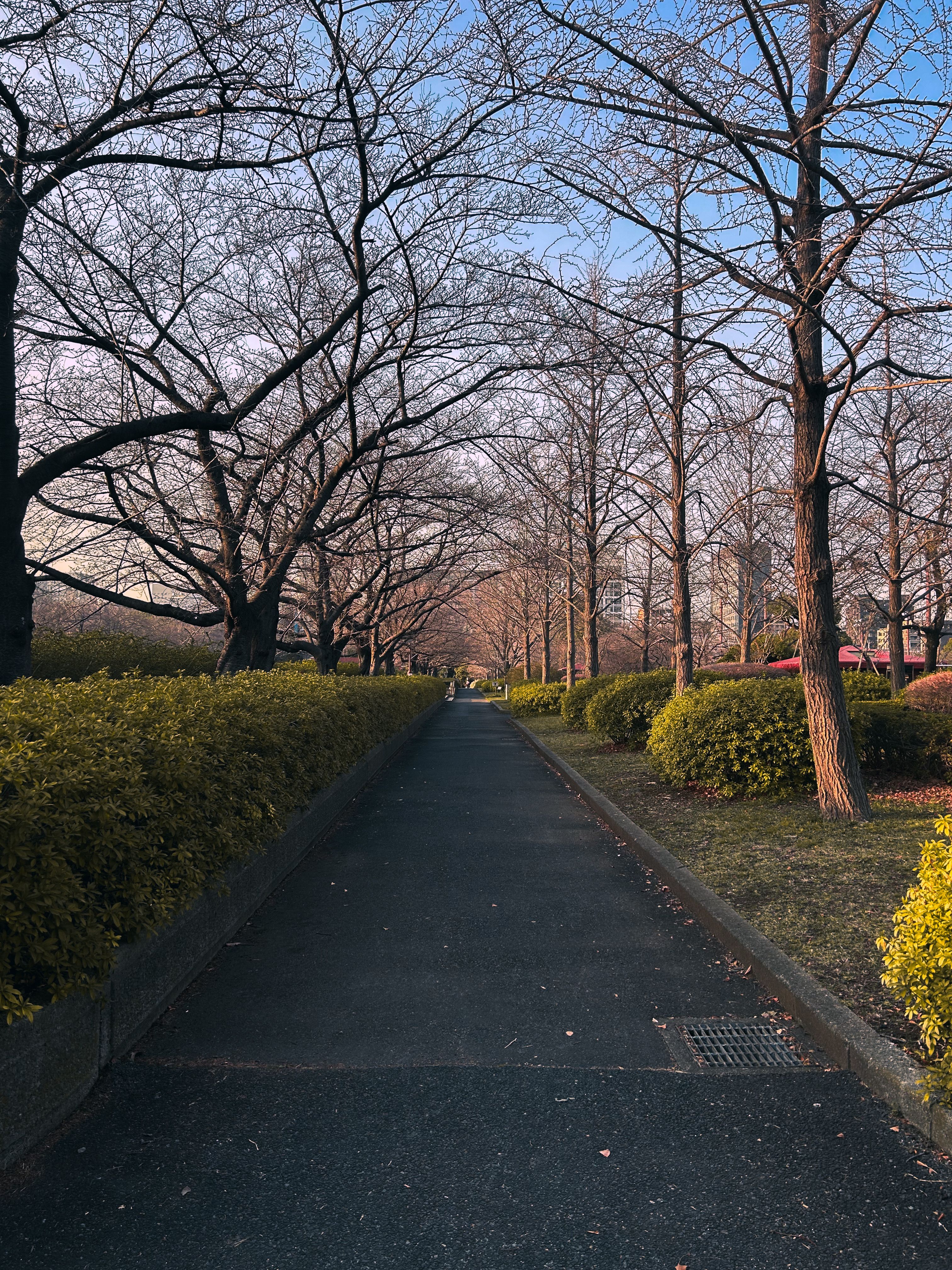 ทางเดินอันเงียบสงบในเมืองโคโตะ โตเกียว ประเทศญี่ปุ่น · คลังภาพถ่ายฟรี