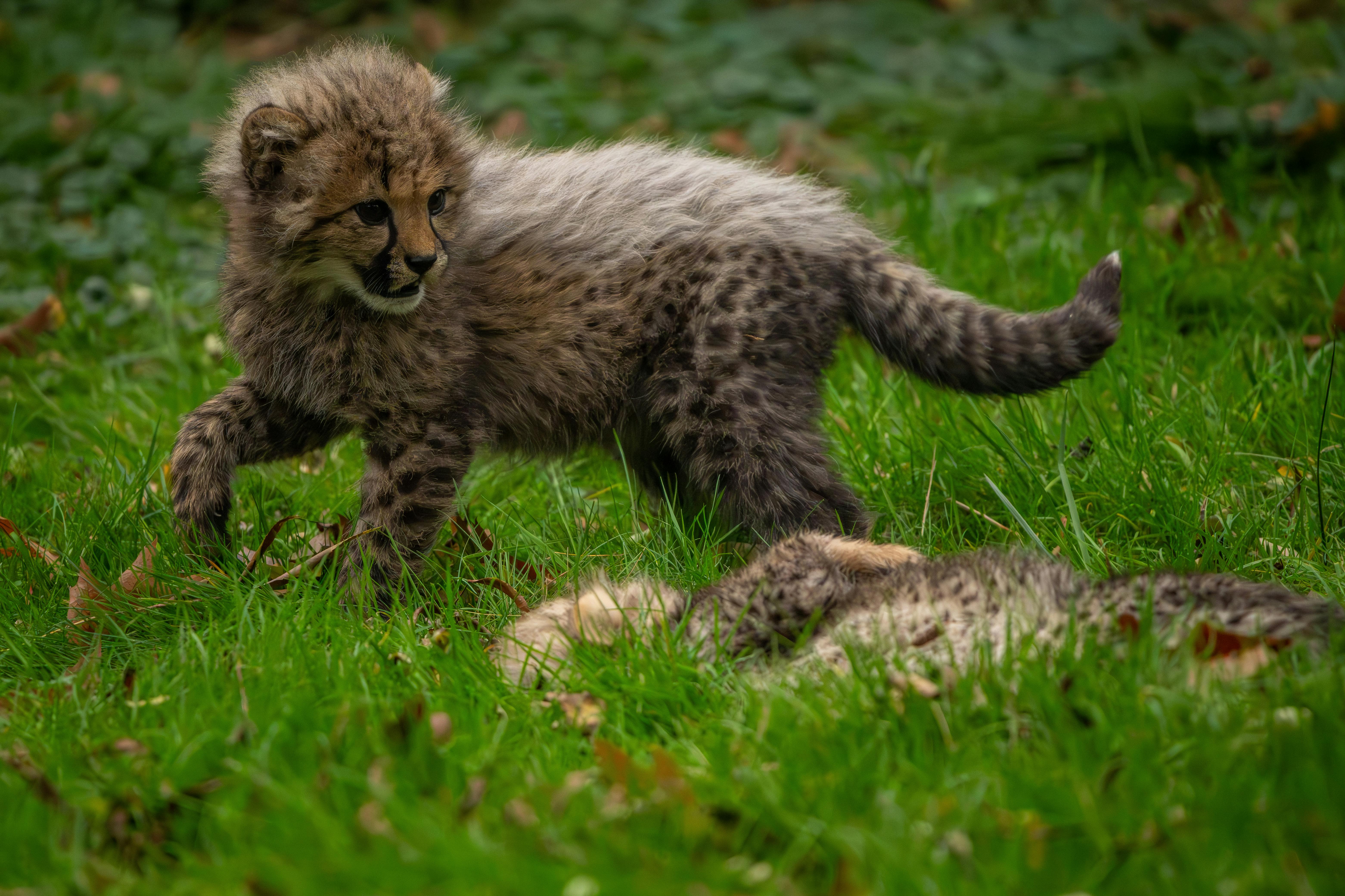 Ten Namibia Photos, Download The BEST Free Ten Namibia Stock Photos ...