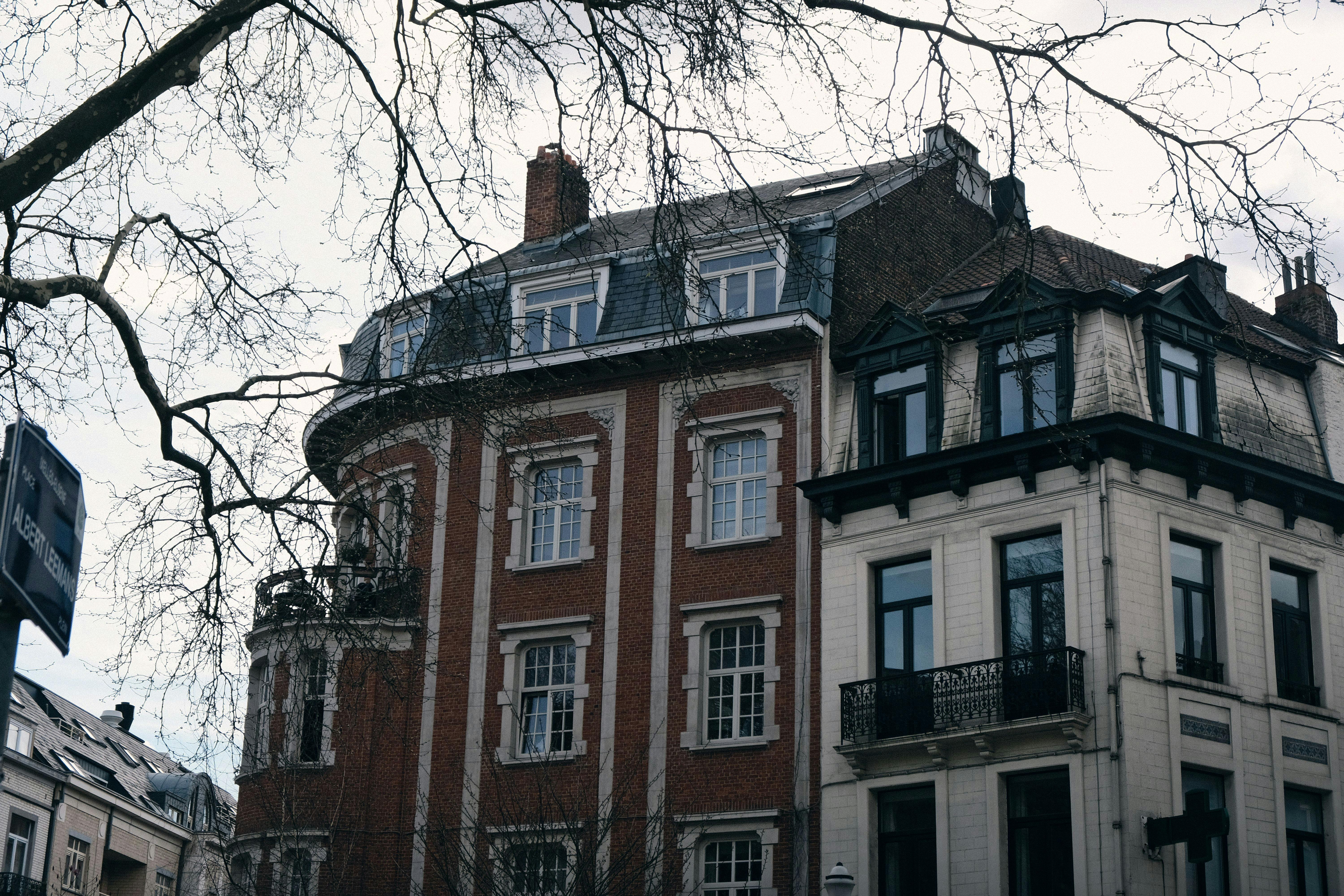 Elegant Brussels Architecture in Winter Setting · Free Stock Photo