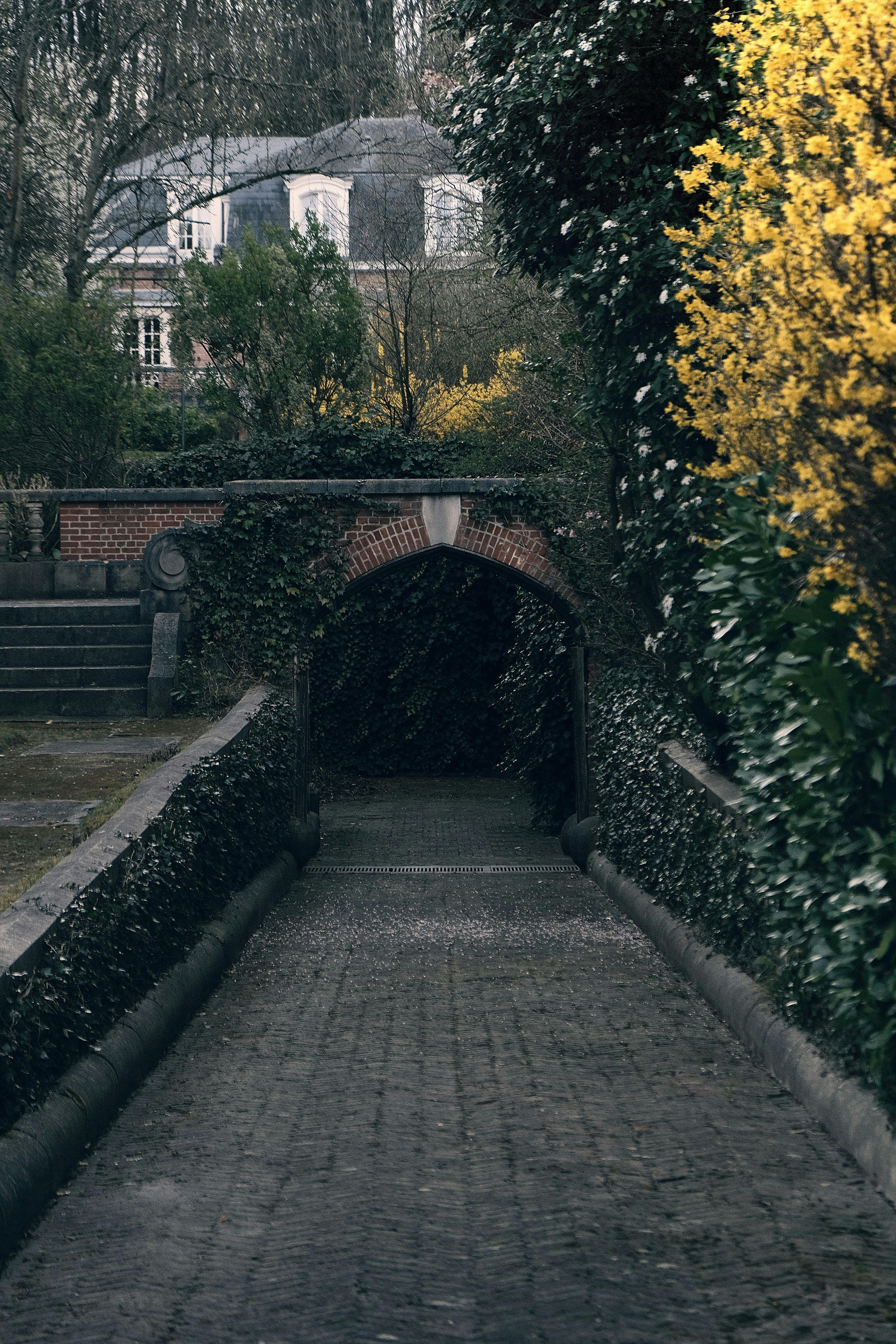 Enchanting Ivy-Covered Brick Tunnel in Spring Garden · Free Stock Photo