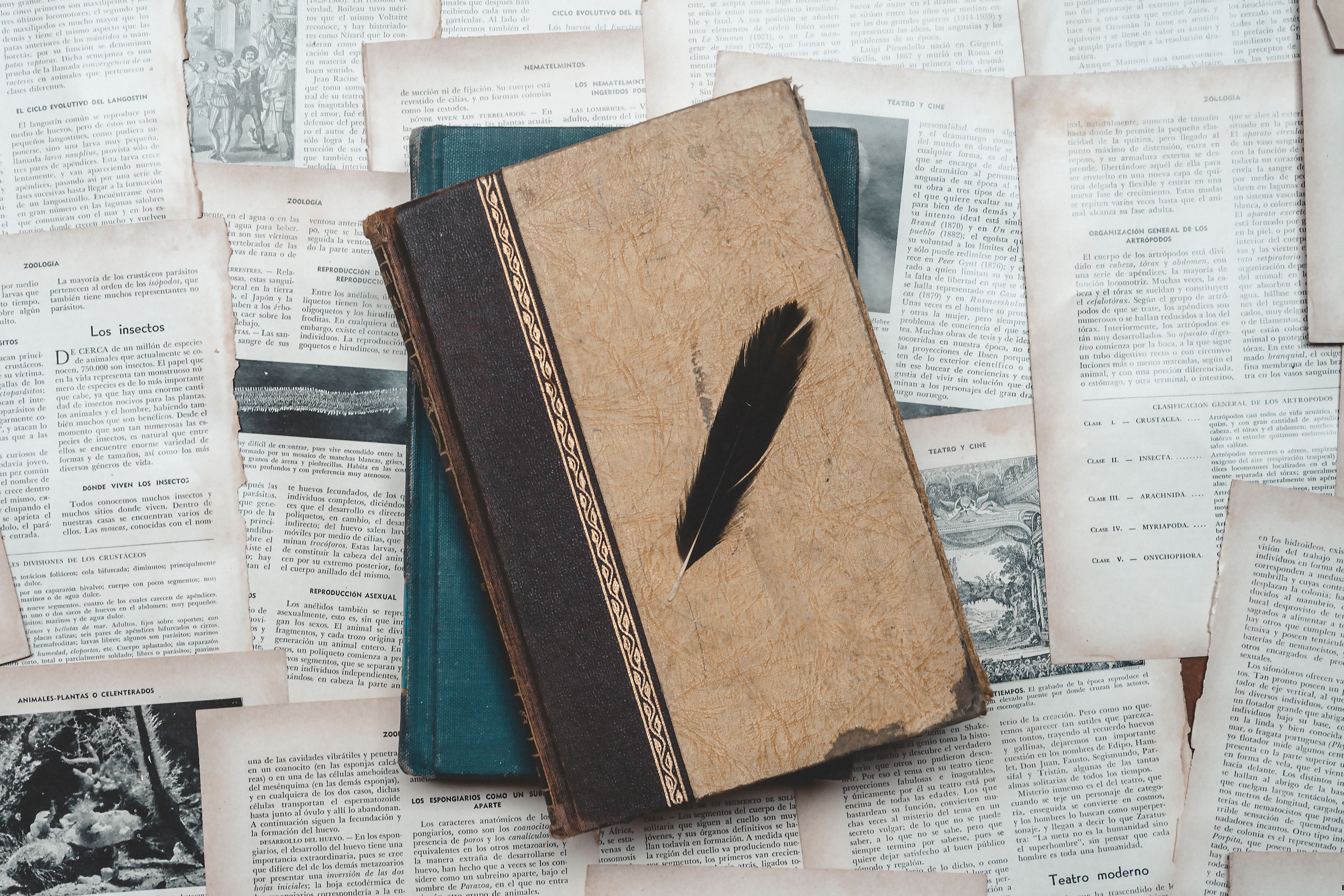 Vintage Books and Feather on Old Pages · Free Stock Photo