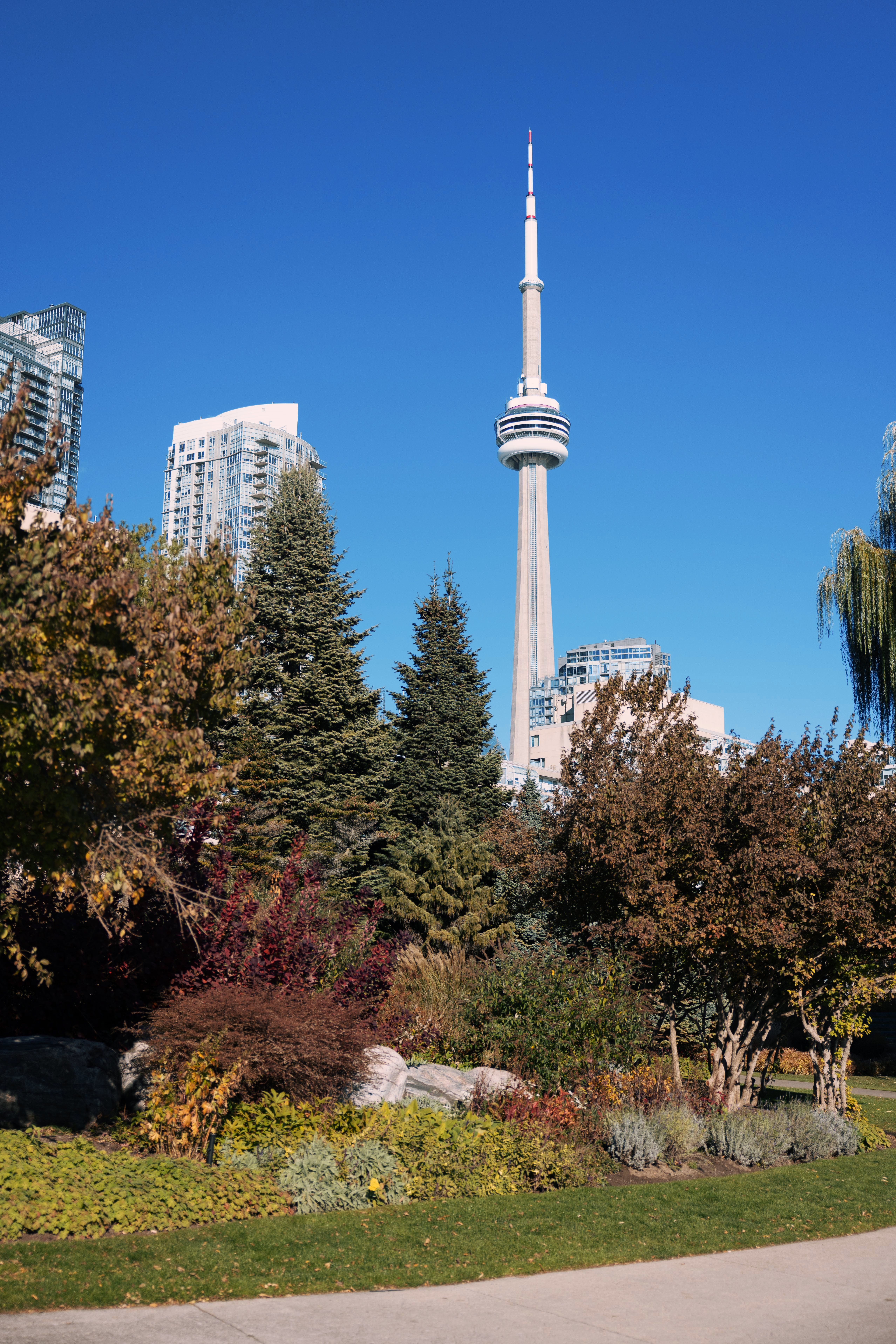 Toronto skyline with CN Tower in fall scenery · Free Stock Photo