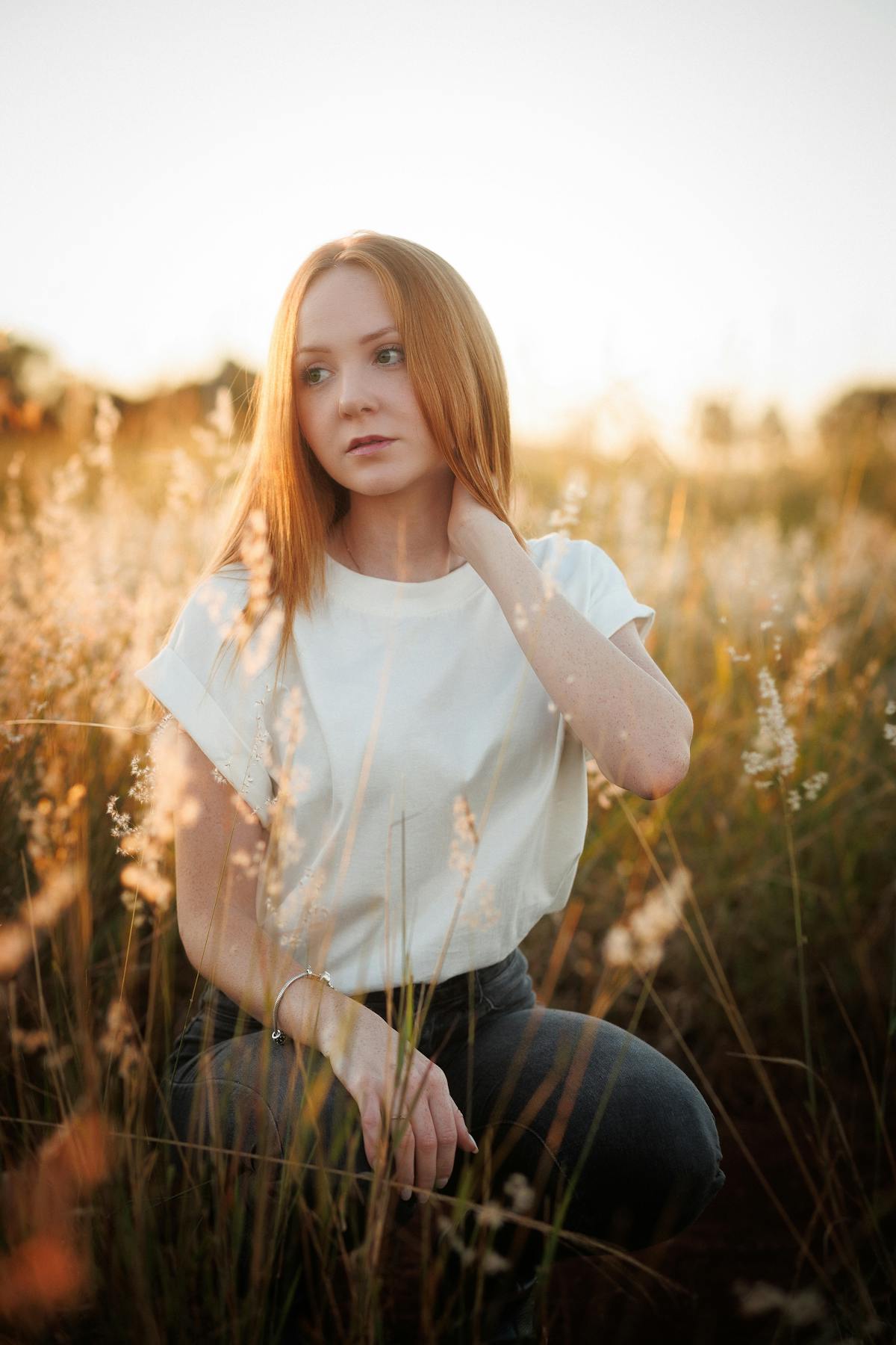 Warm Sun Over A Field Photos, Download The BEST Free Warm Sun Over A ...