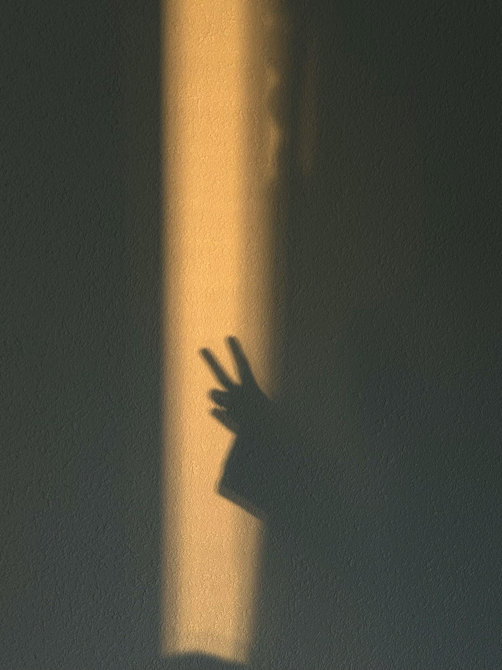 Peace Sign Photos, Download The BEST Free Peace Sign Stock Photos & HD ...