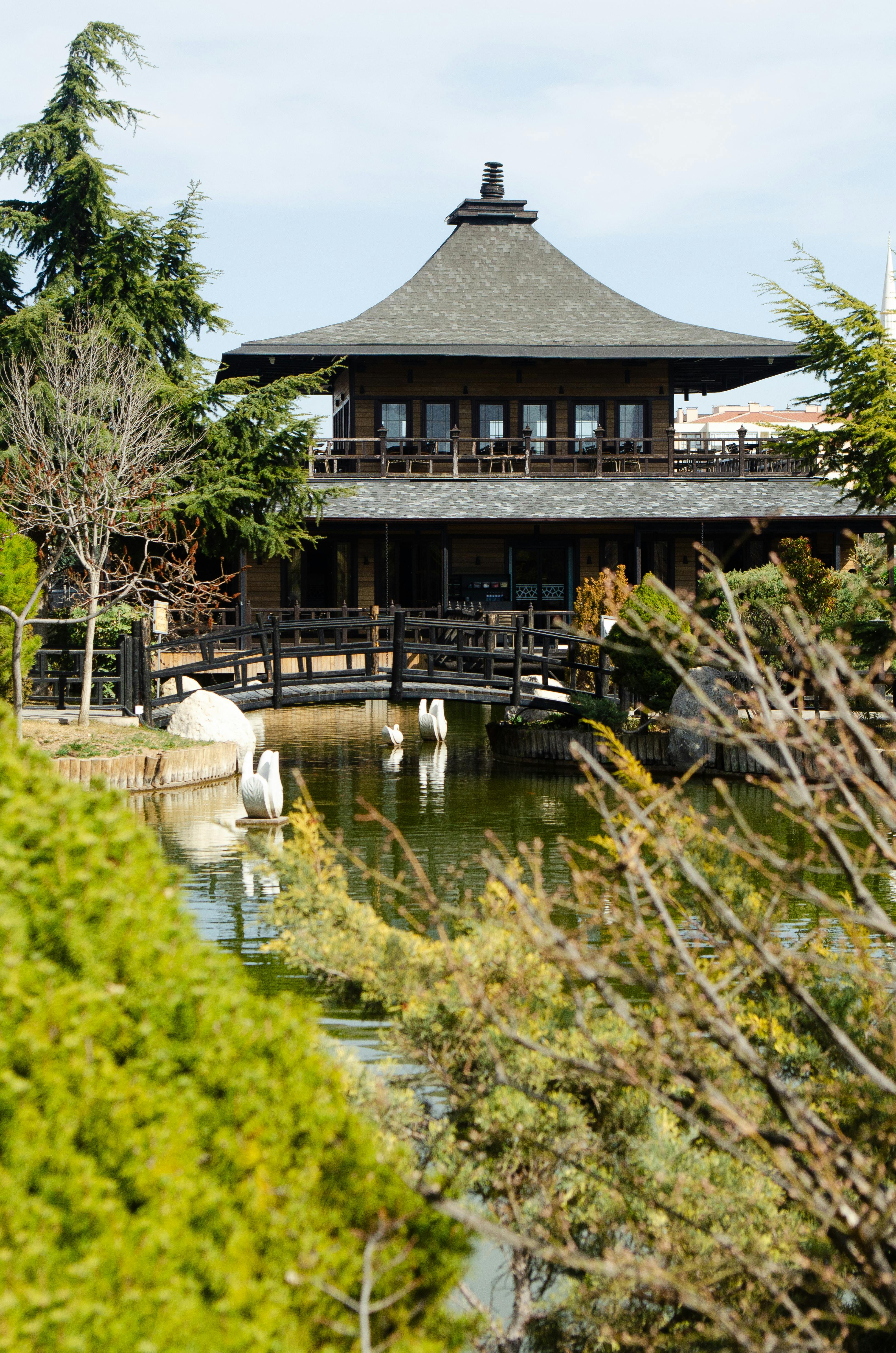 Swan Build Photos, Download The BEST Free Swan Build Stock Photos & HD ...