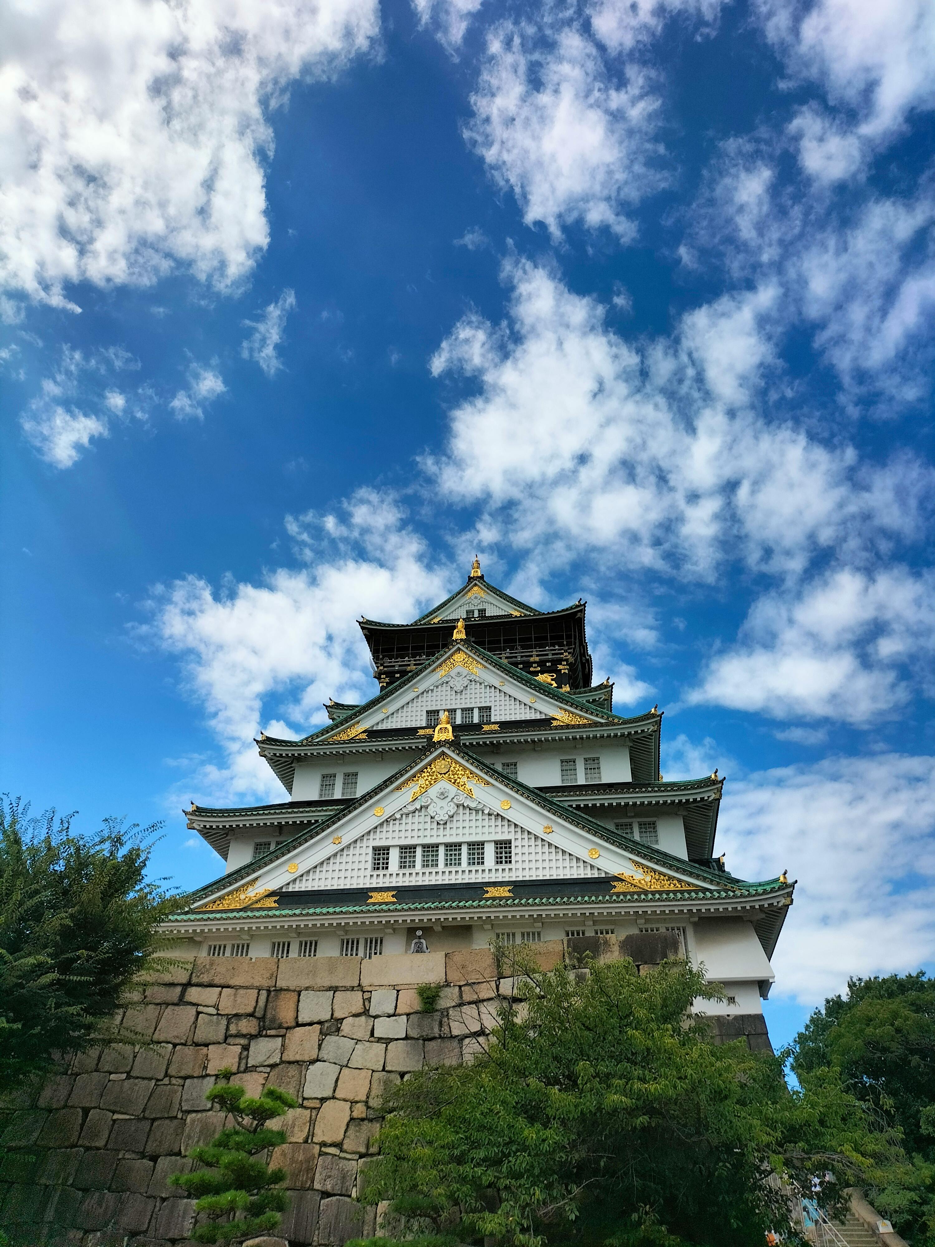 3.000+ beste Neusaap+foto foto's · 100% gratis downloaden · Pexels ...