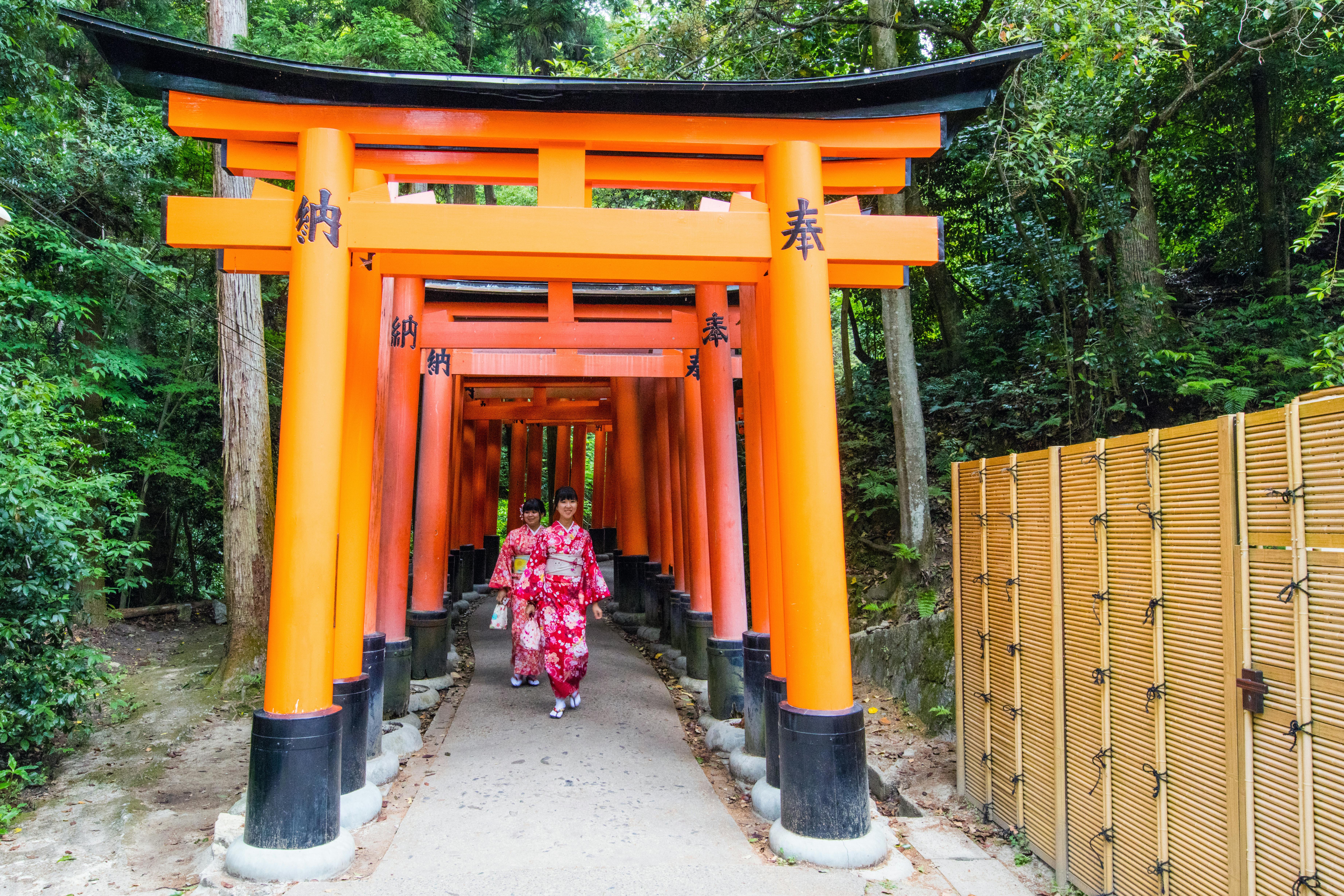 Women in Kimono at Fushimi Inari Shrine, Kyoto · Free Stock Photo