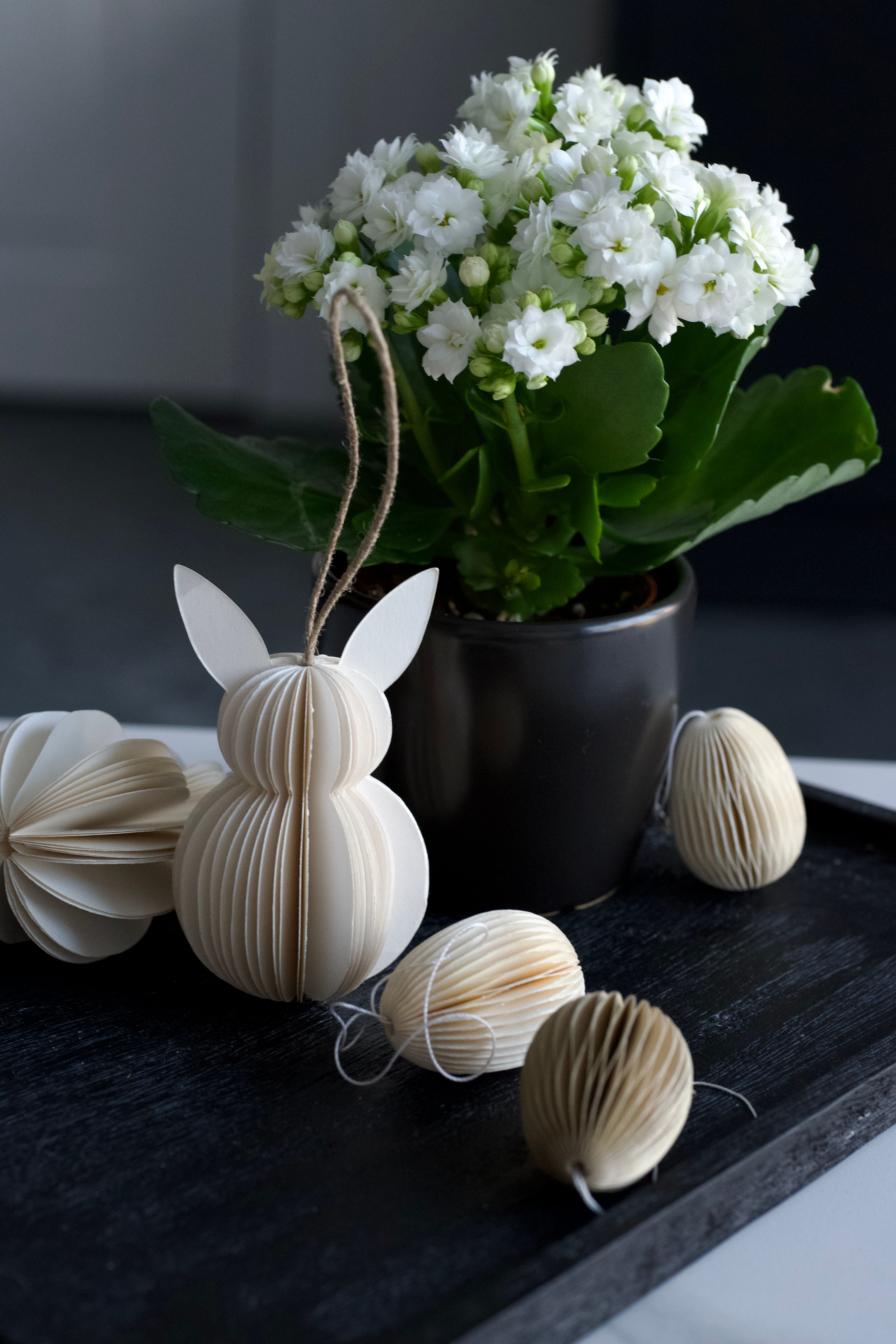 Spring Decor with Paper Art and Blooming Flowers · Free Stock Photo