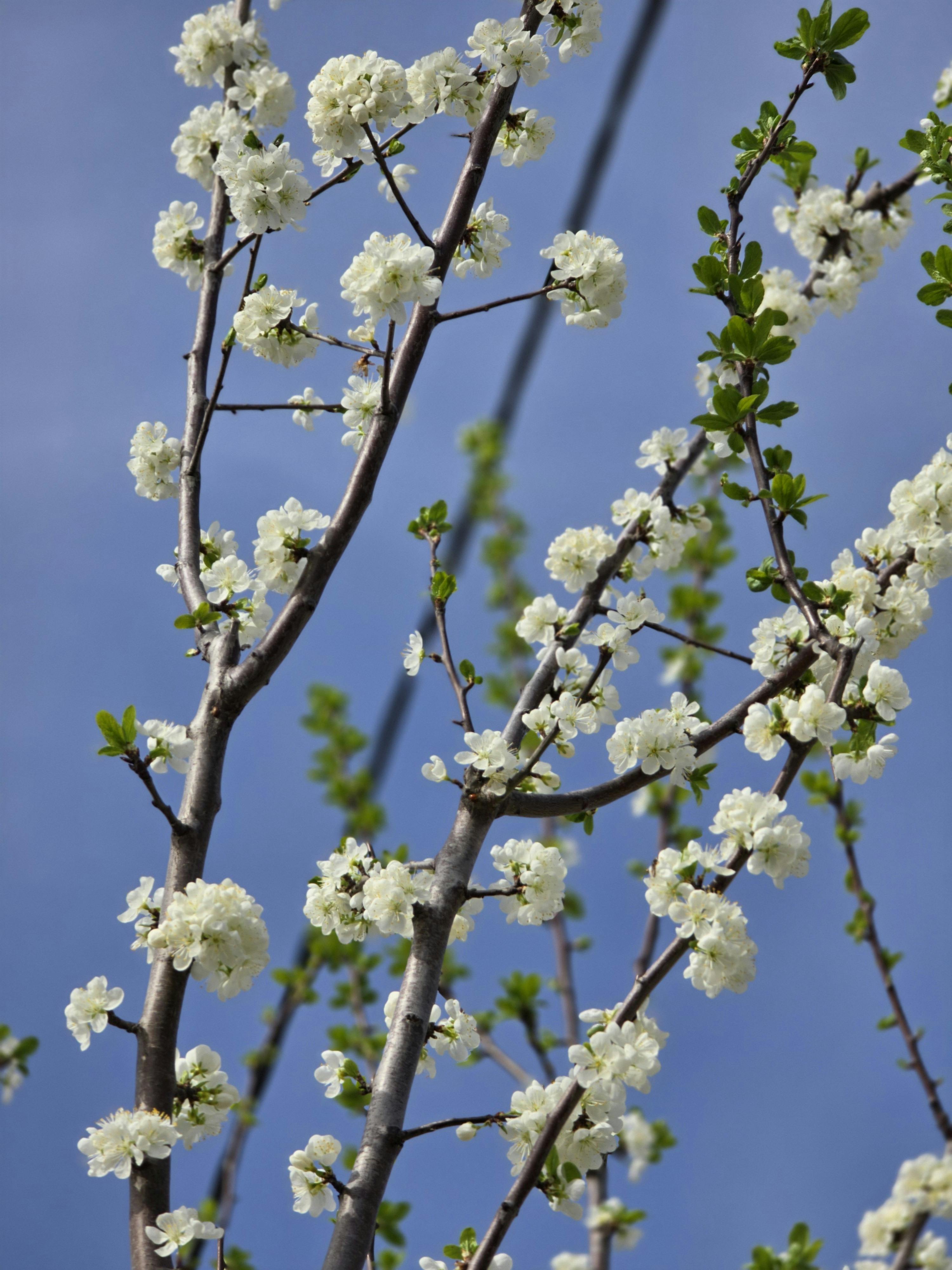 Image Cadrage Photo Photos, Download The BEST Free Image Cadrage Photo ...