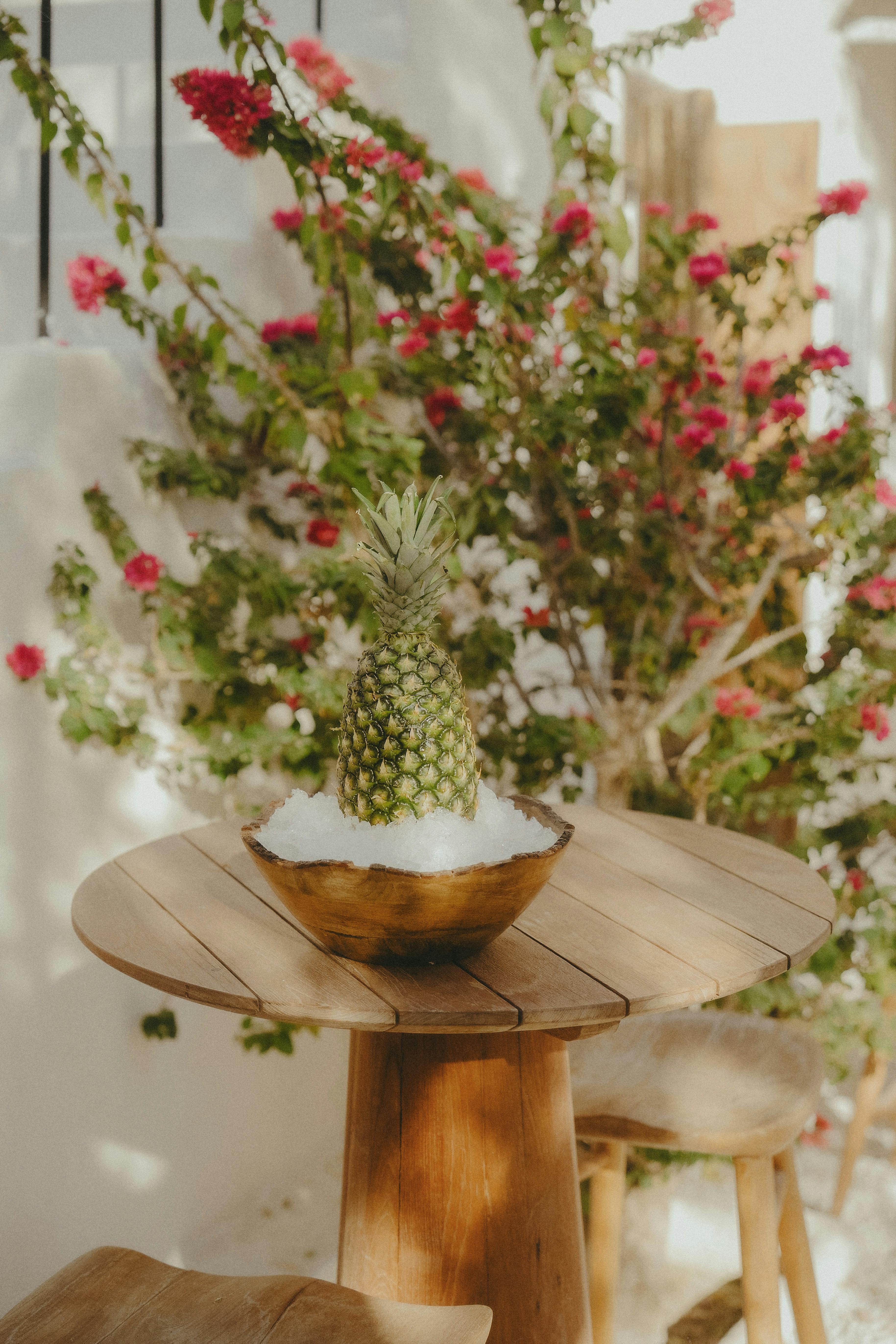 Roj Flower Photos, Download The BEST Free Roj Flower Stock Photos & HD ...