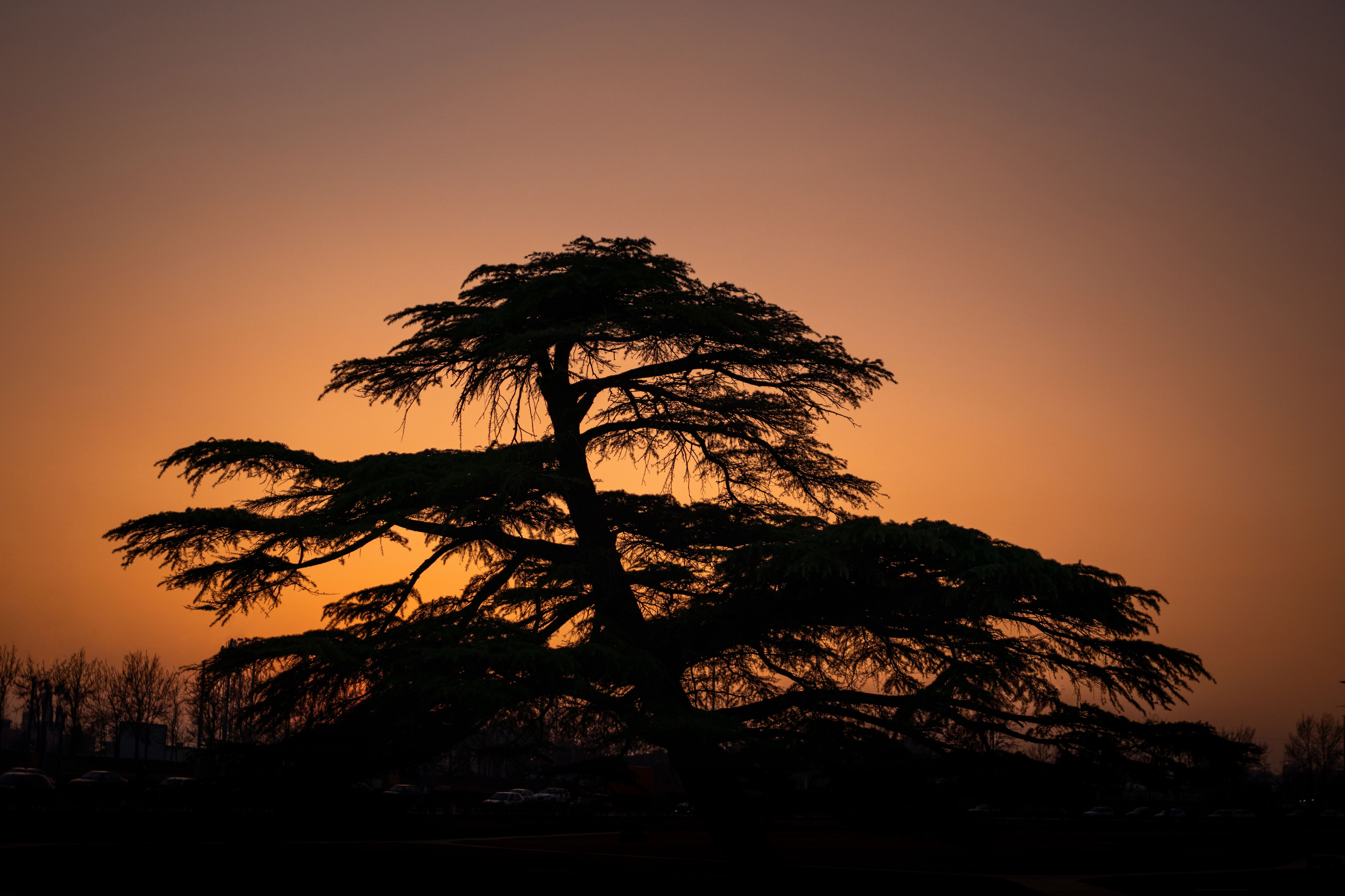 Desert Landscape Road Photos, Download The BEST Free Desert Landscape ...