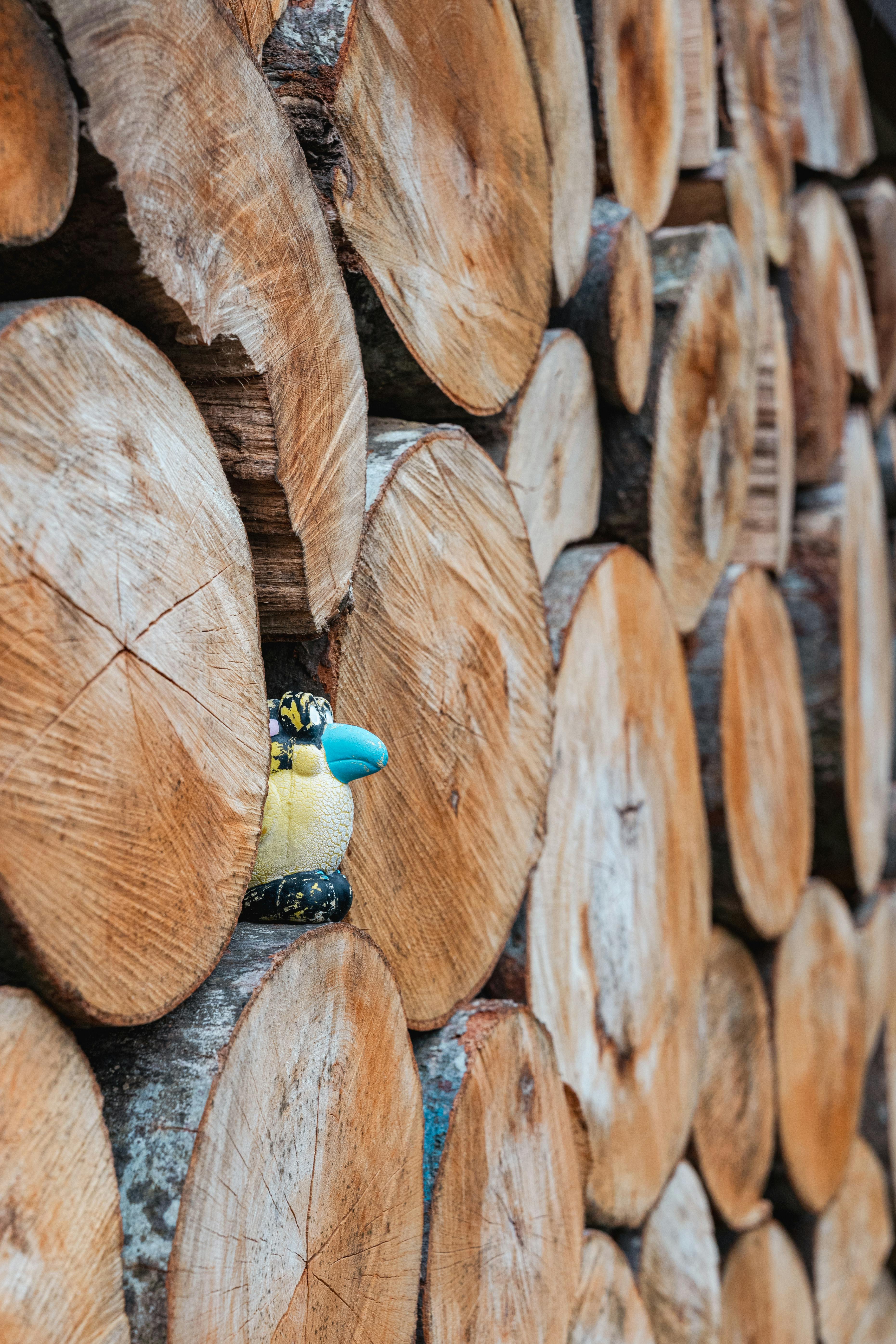 Materials Publicitarios Photos, Download The BEST Free Materials ...