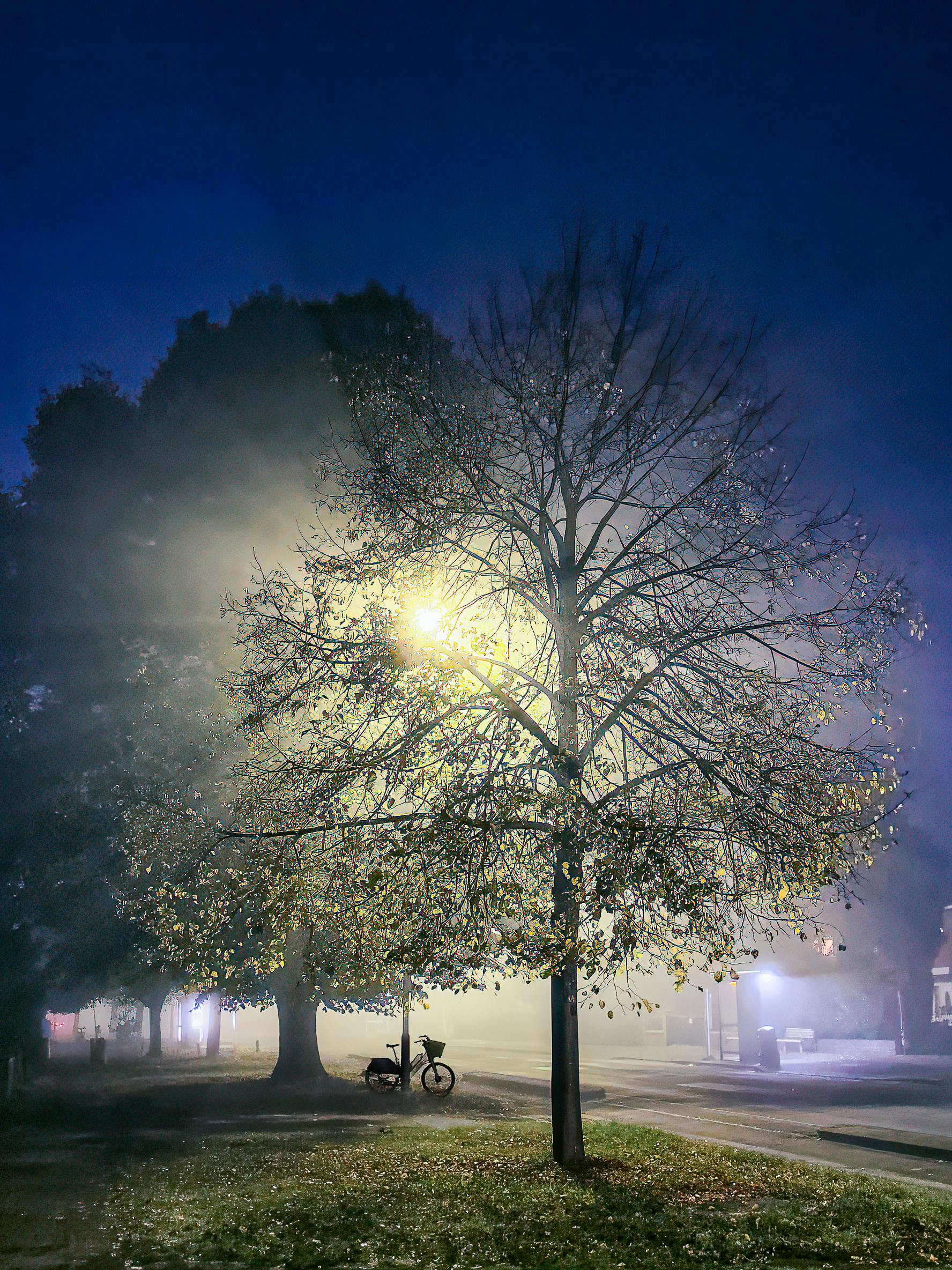 Light Fog Night Photos, Download The BEST Free Light Fog Night Stock ...