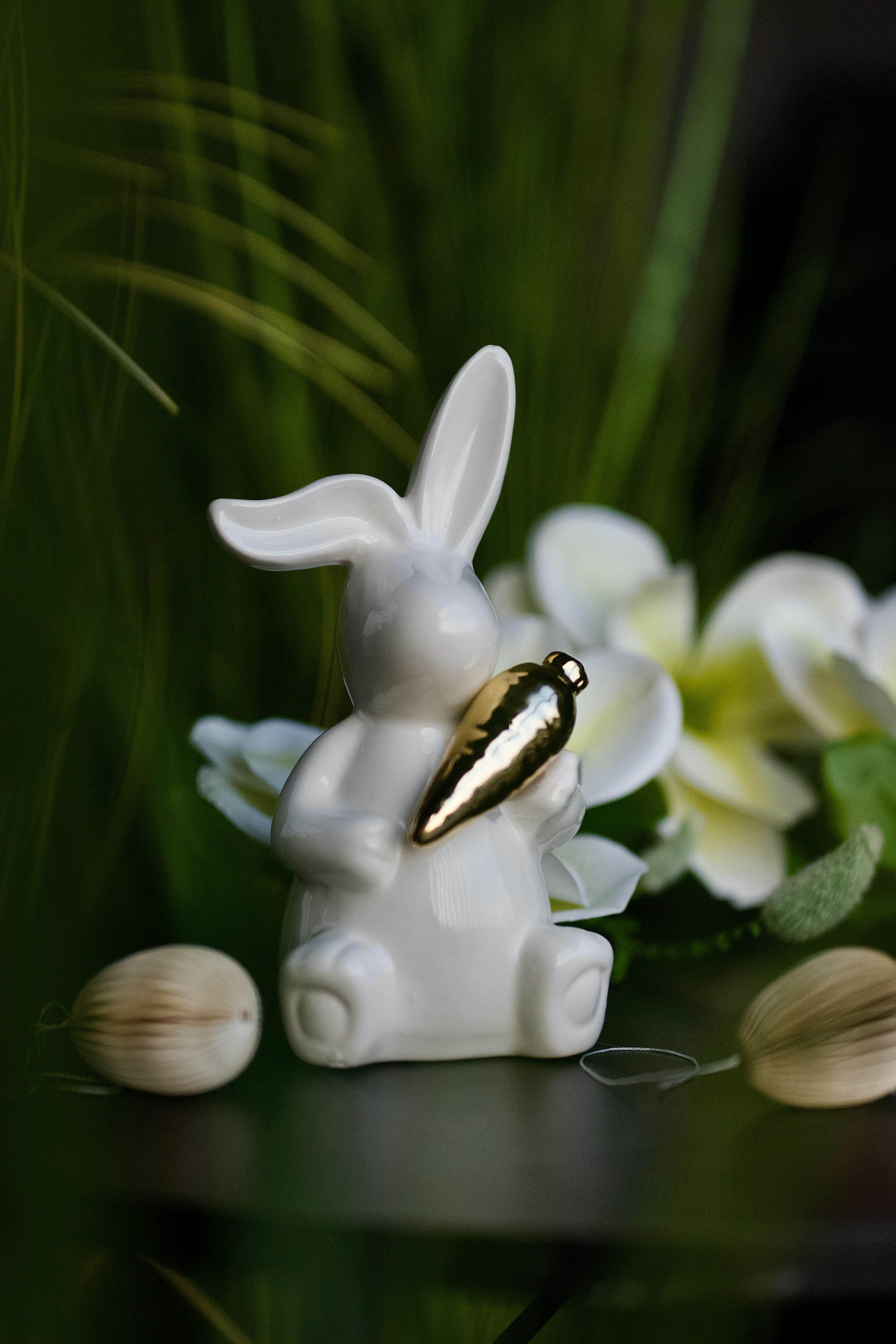 Rabbit's Photos, Download The BEST Free Rabbit's Stock Photos & HD Images