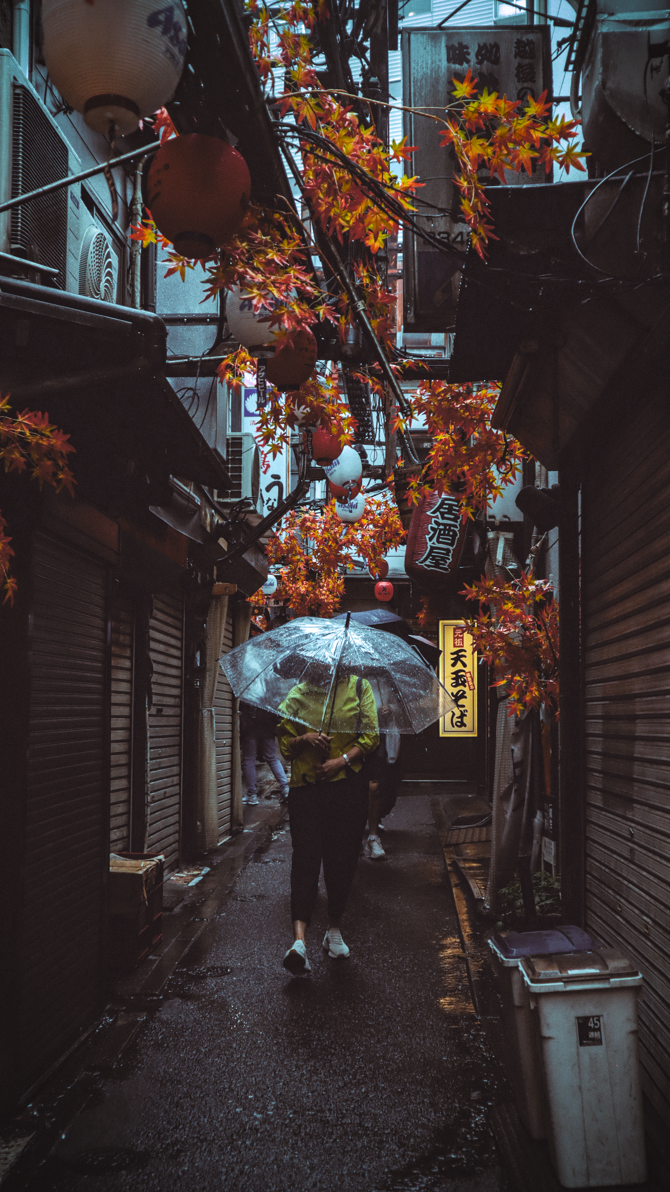 Rainfall Thumbnails Photos, Download The BEST Free Rainfall Thumbnails ...