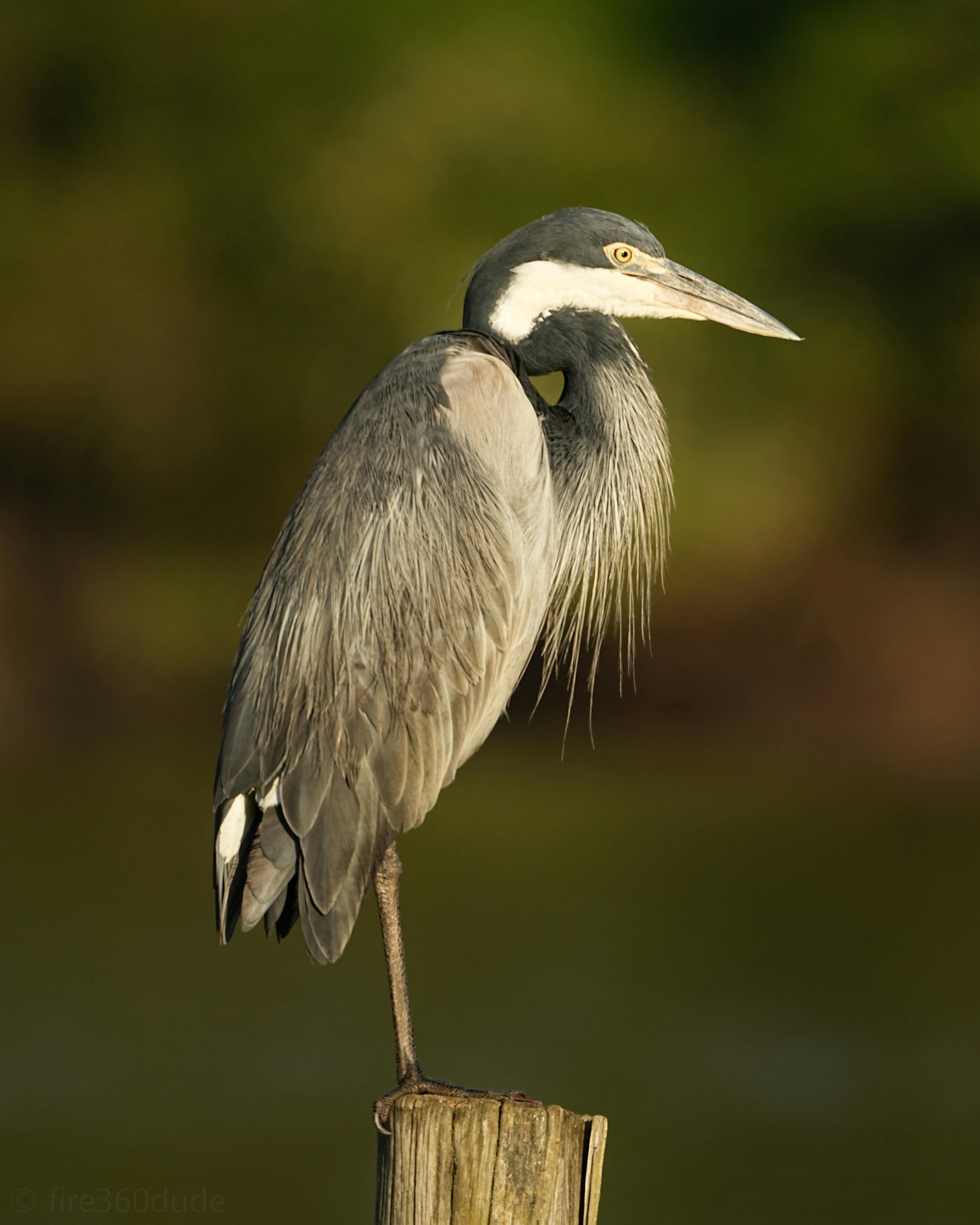 Observe Obseve Photos, Download The BEST Free Observe Obseve Stock ...