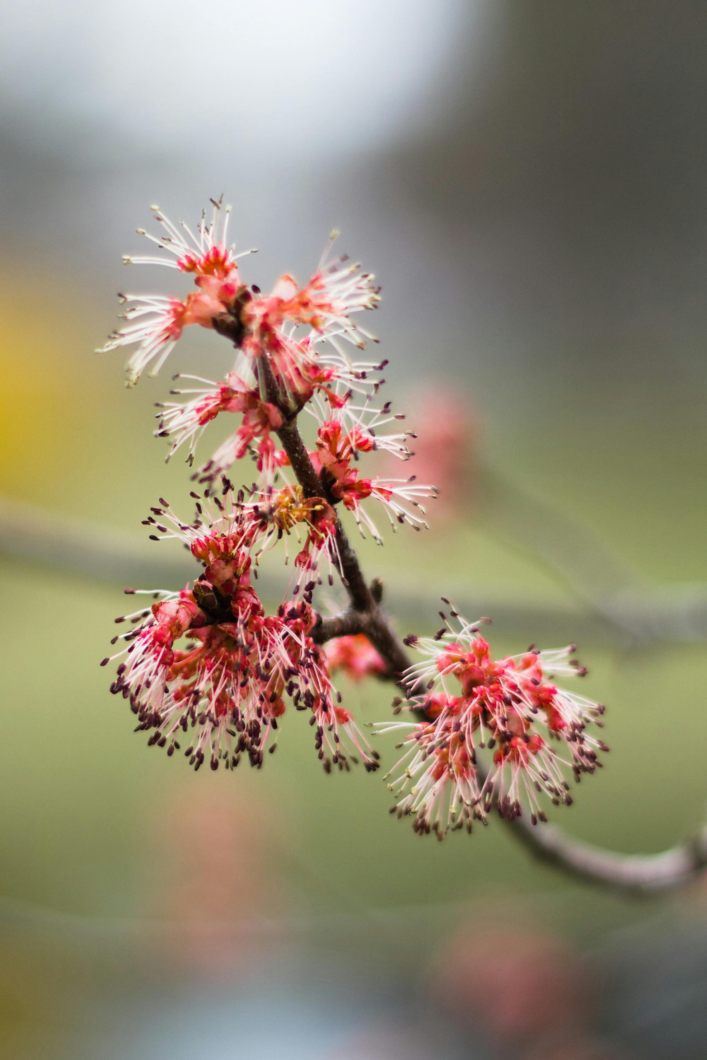 Bright 4k Wallpaper Photos, Download The BEST Free Bright 4k Wallpaper ...