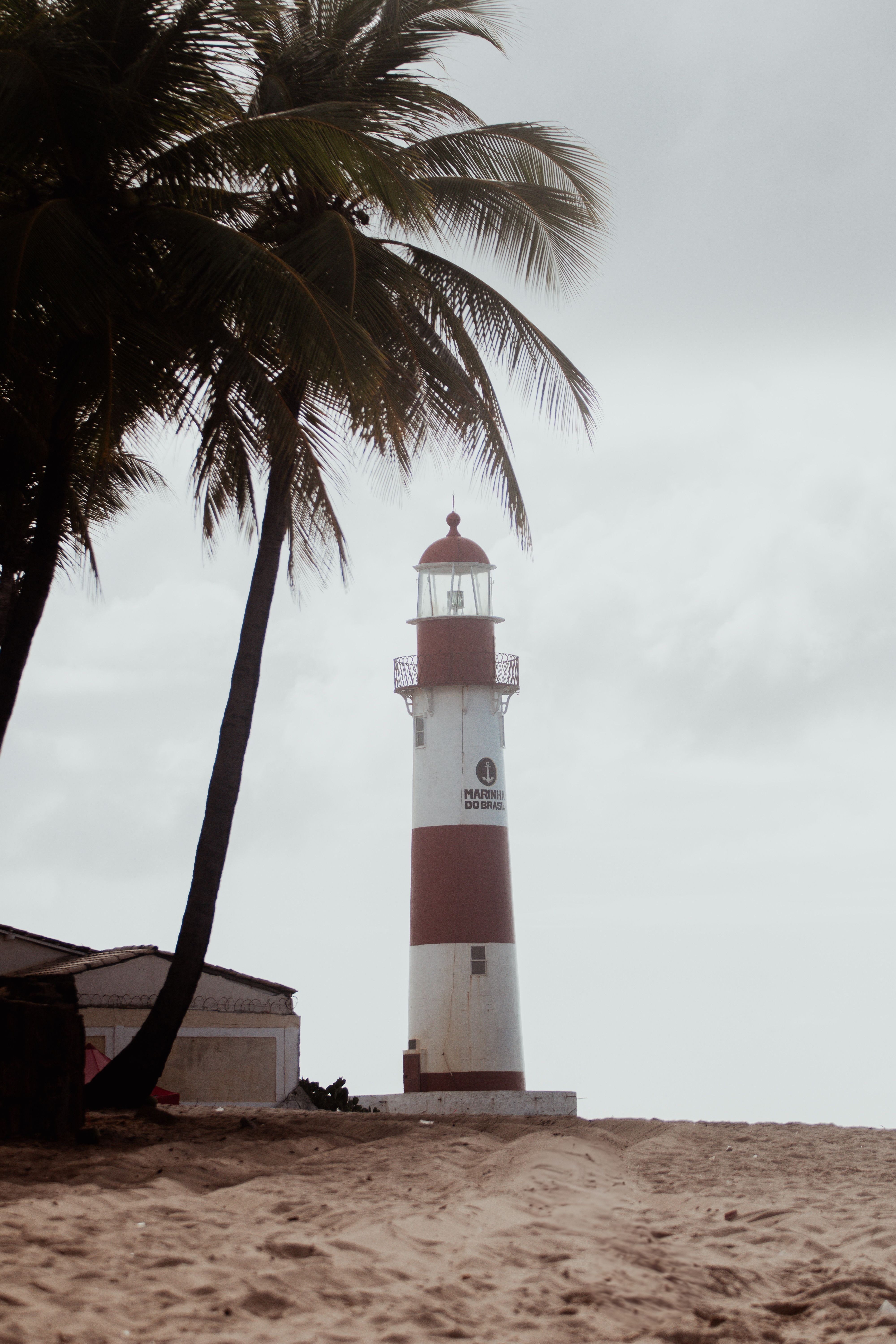 Iconic Lighthouse with Palm Trees in Tropical Setting · Free Stock Photo