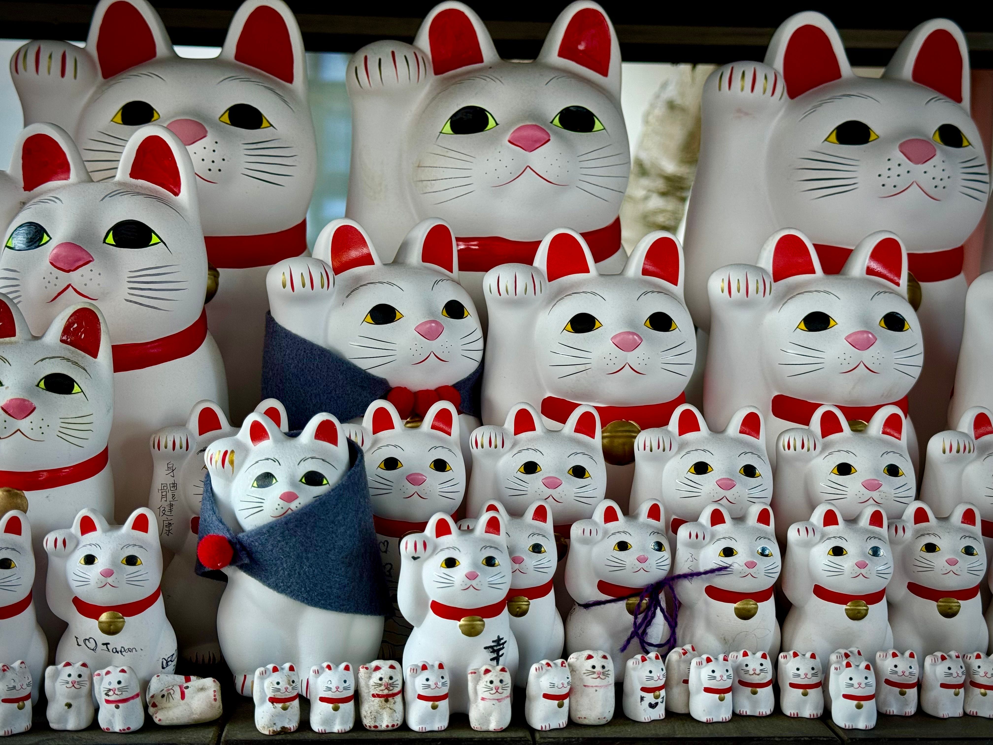 Row of Traditional Japanese Lucky Cat Figurines · Free Stock Photo