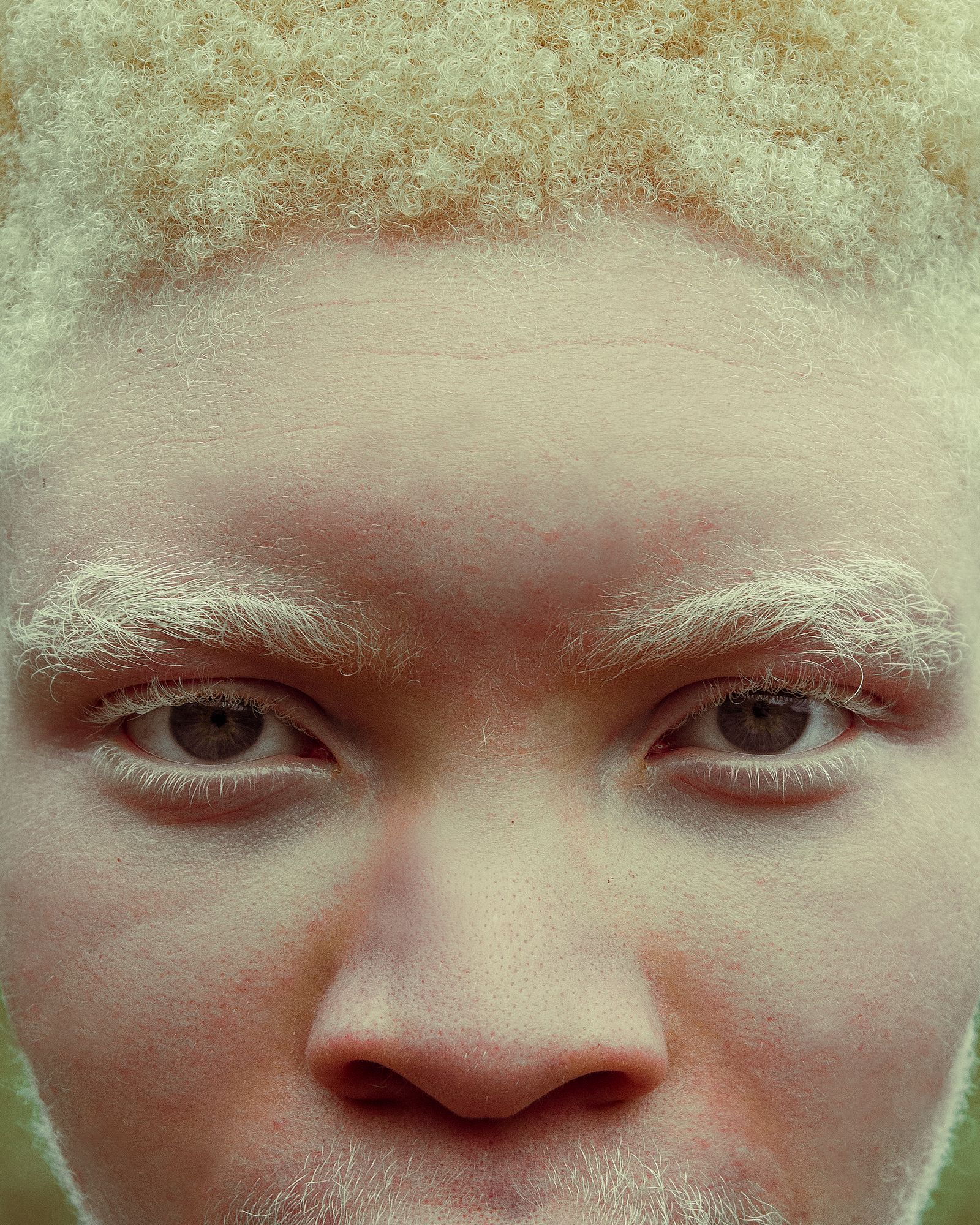 Close Up Face Photos, Download The BEST Free Close Up Face Stock Photos ...