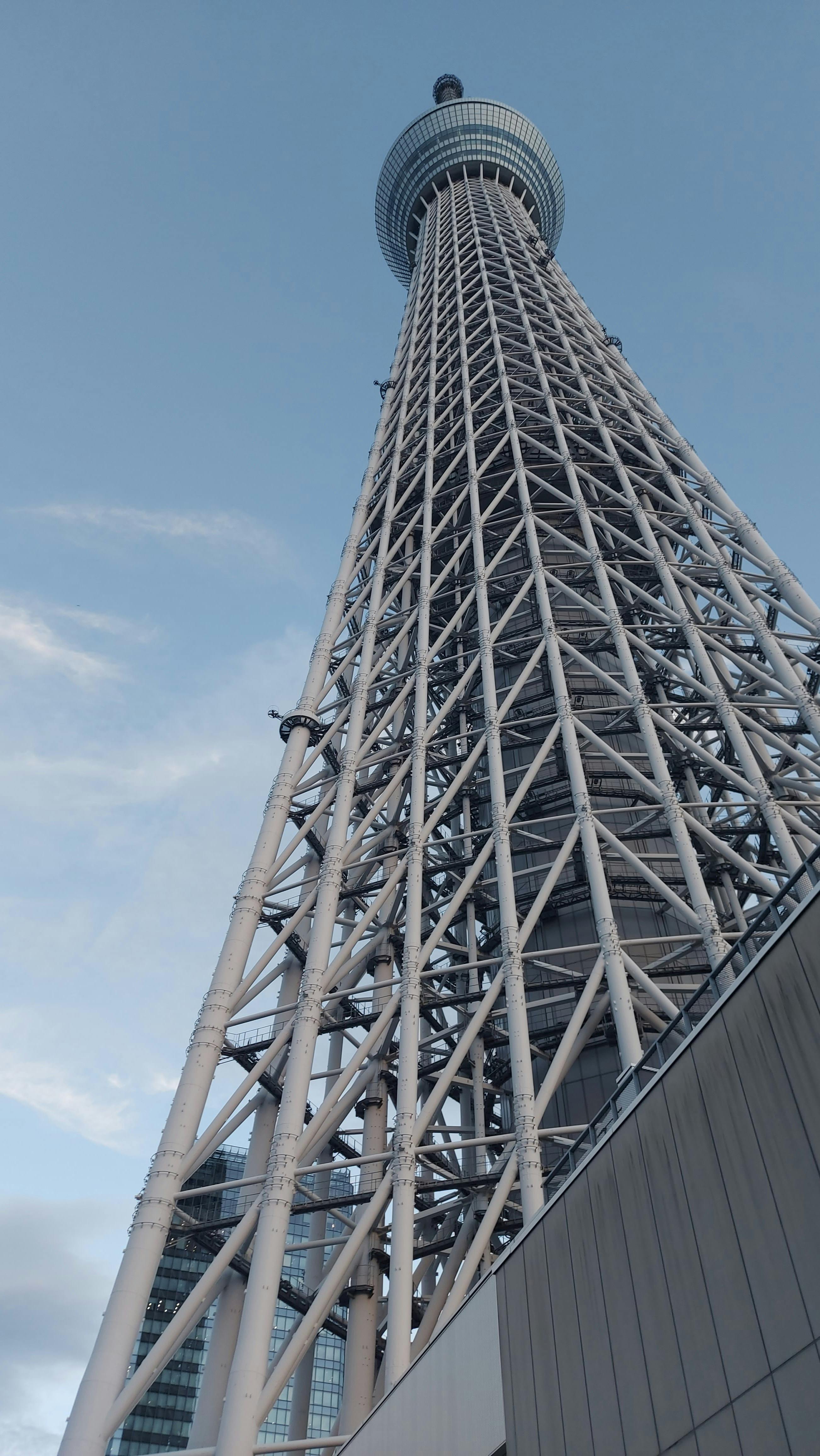 Vista Dramática Da Torre Skytree De Tóquio · Foto profissional gratuita