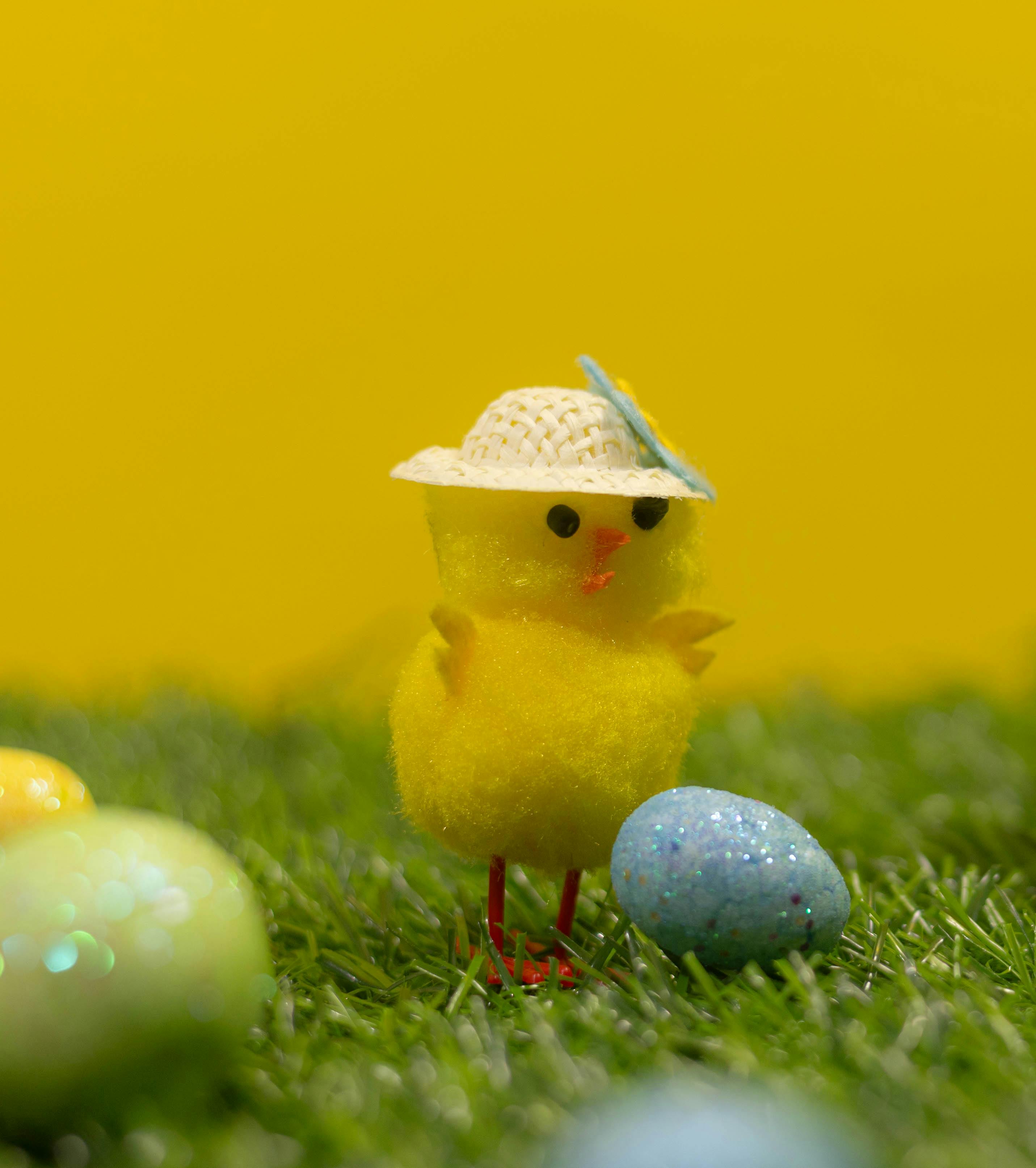 Adorable Fuzzy Chick Toy with Easter Theme · Free Stock Photo