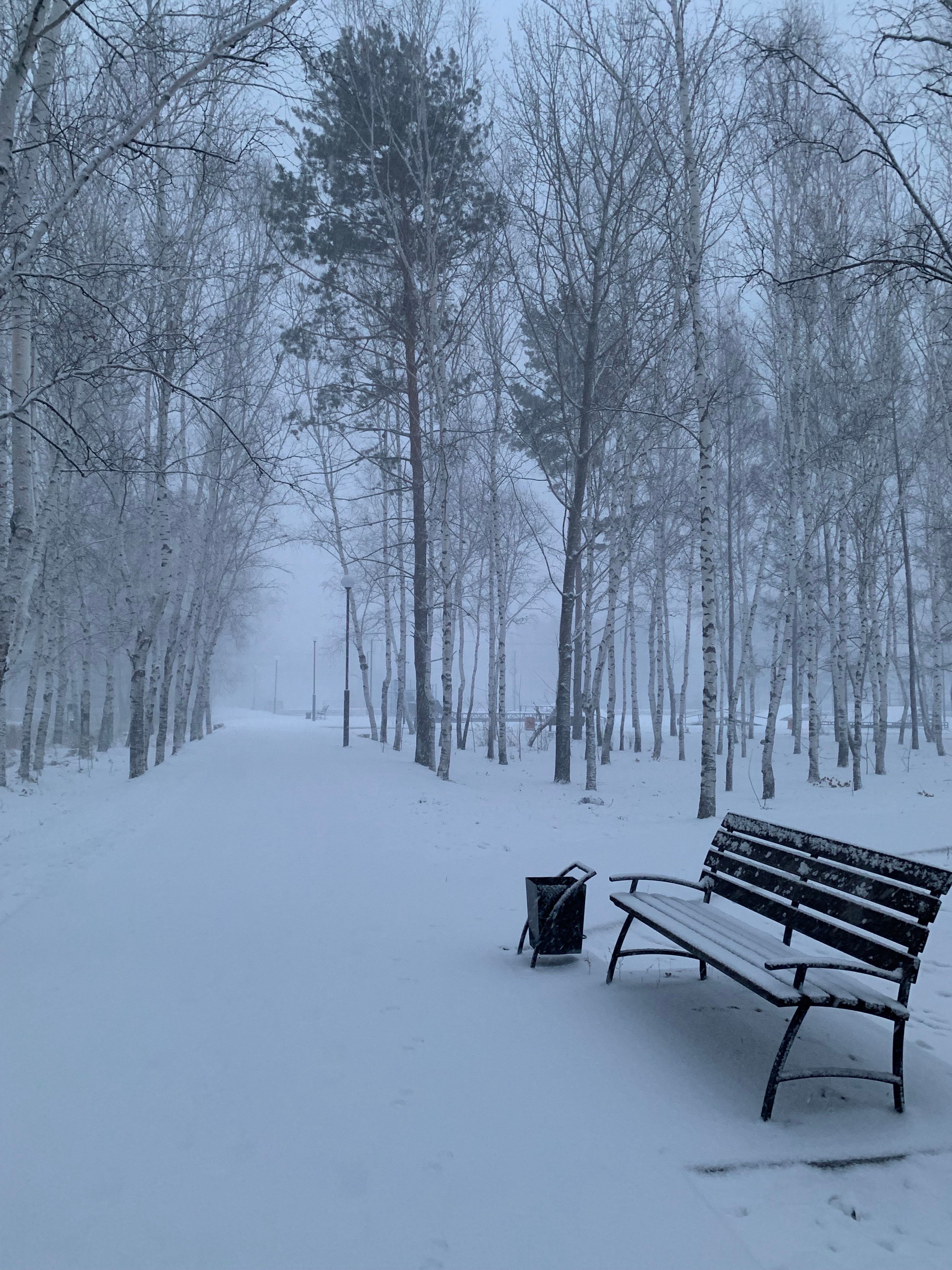 Serene Snowy Park with Empty Bench in Winter · Free Stock Photo