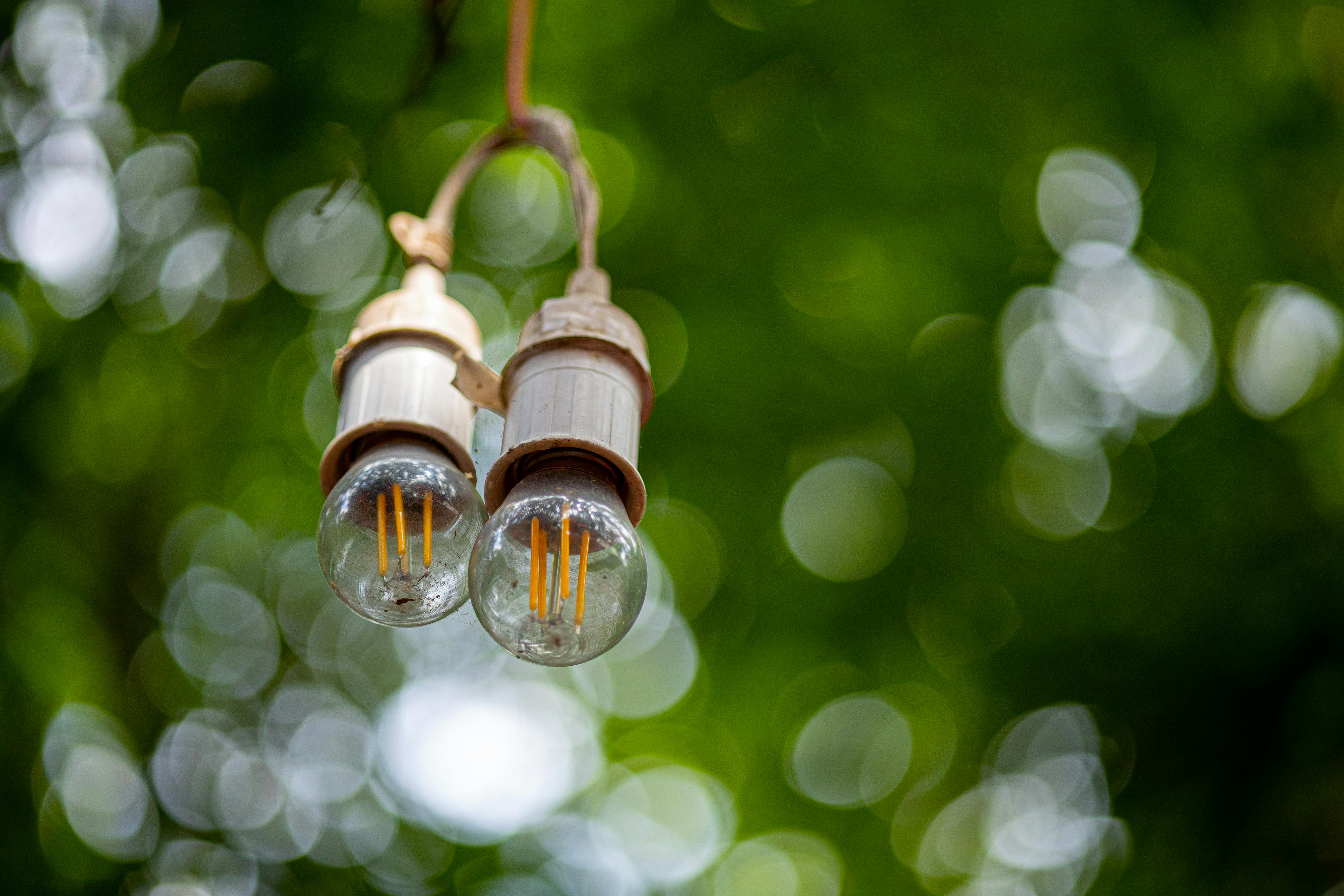 Shade Photos, Download The BEST Free Shade Stock Photos & HD Images