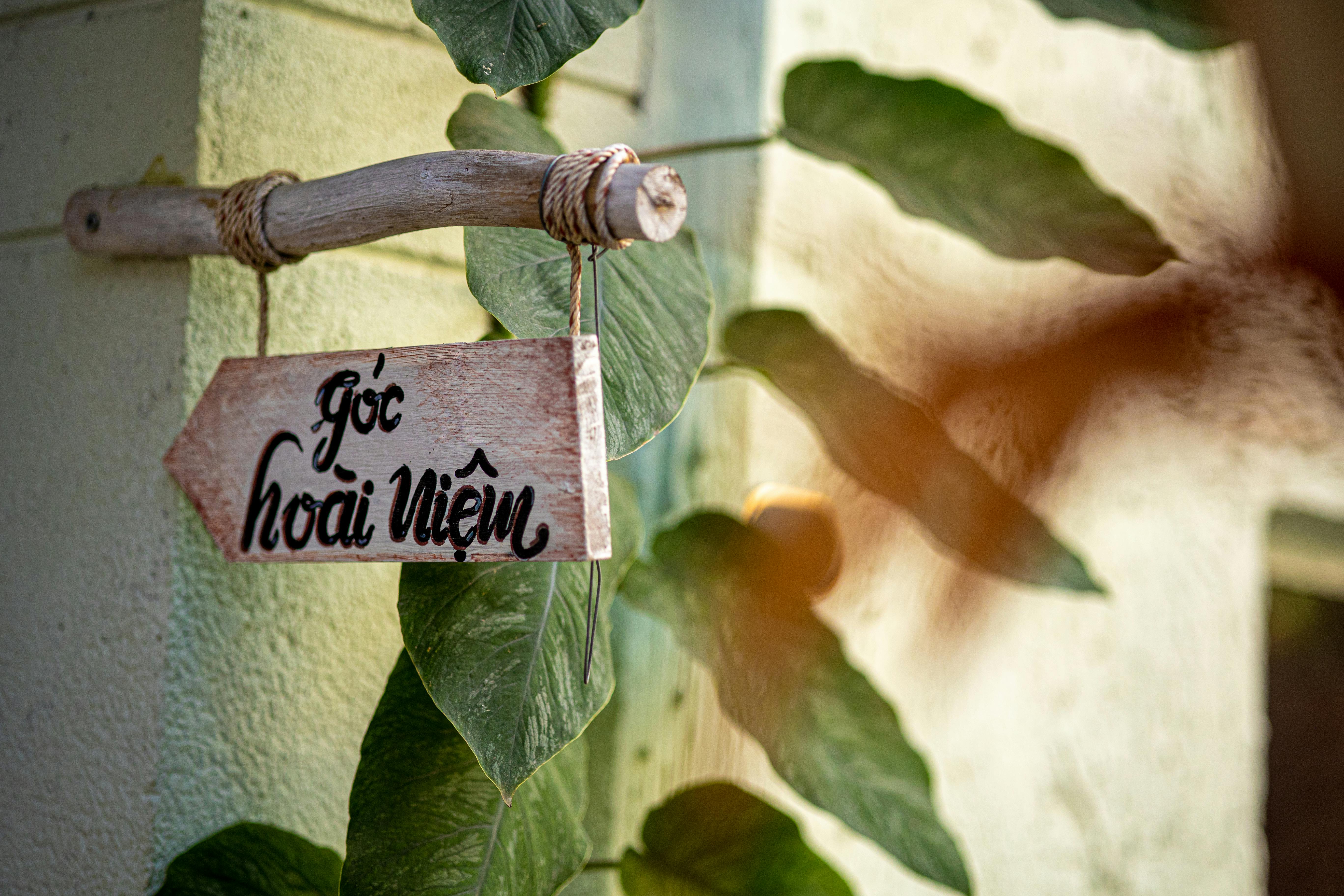 Bien It Niem Kaputt Gegangen Photos, Download The BEST Free Bien It ...