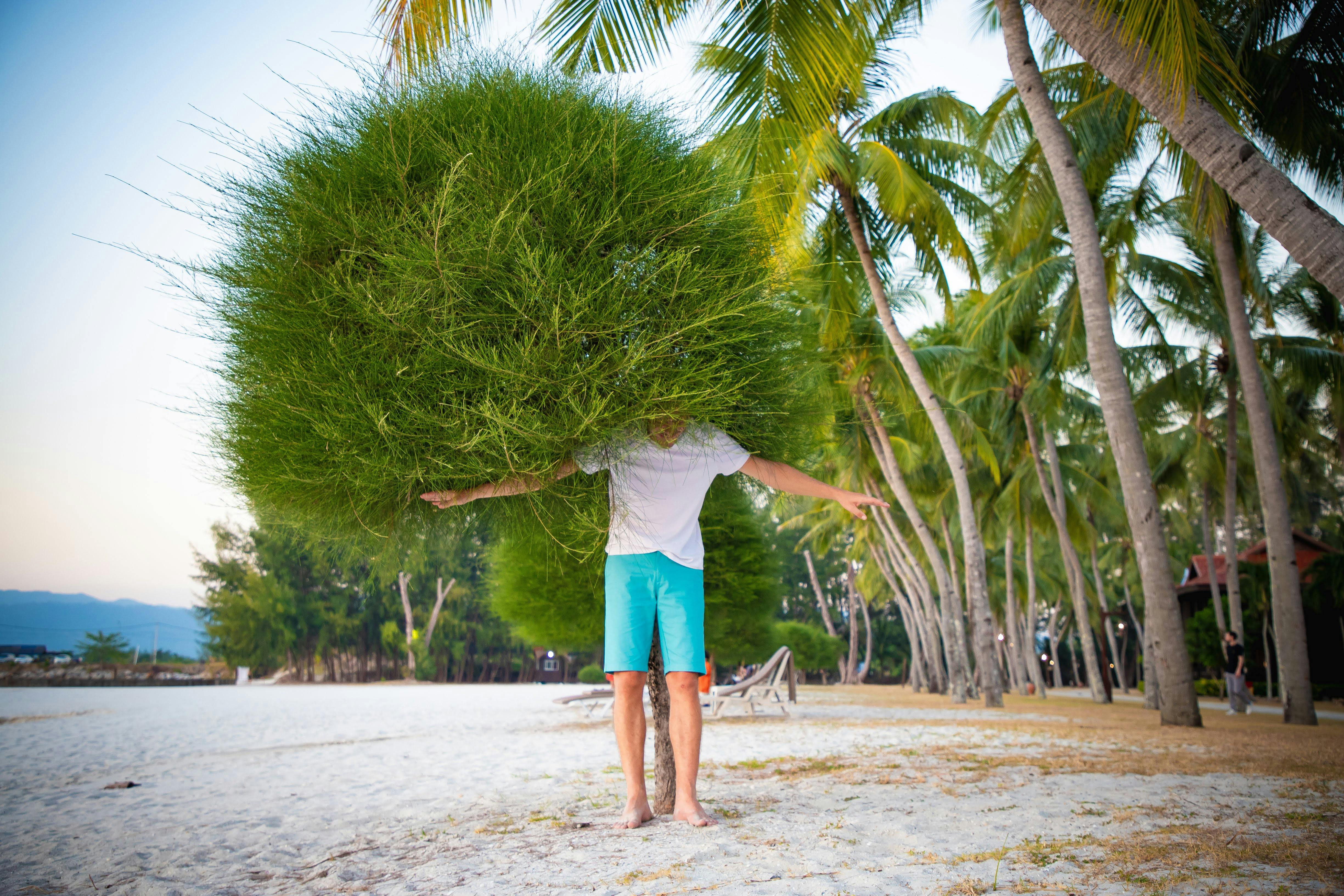 Anking Photos, Download The BEST Free Anking Stock Photos & HD Images