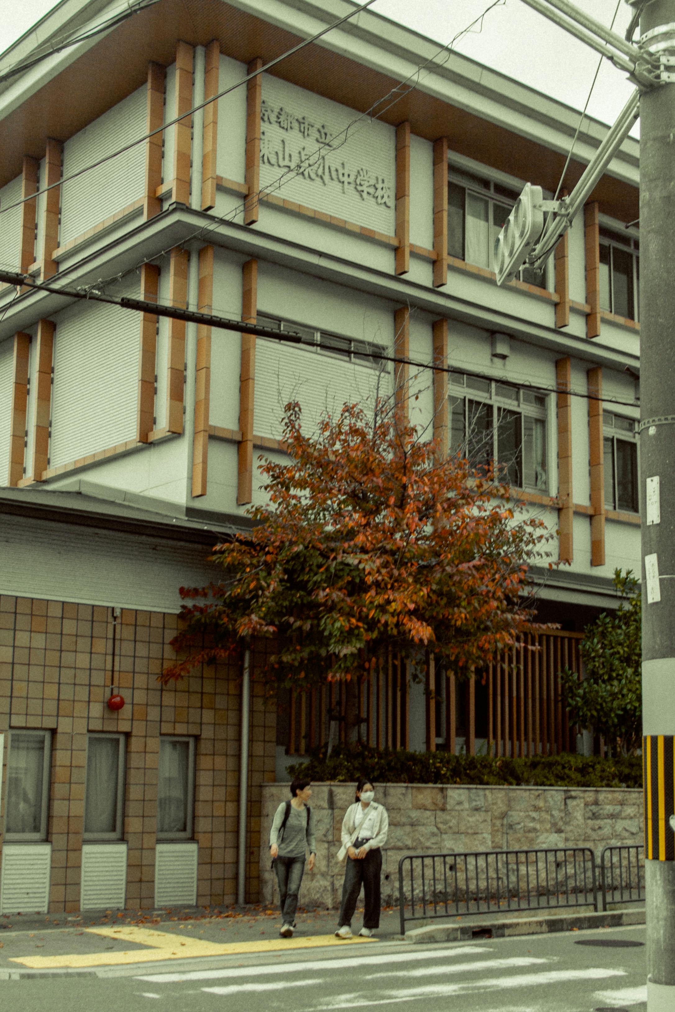 Modern Japanese Street View with Architecture · Free Stock Photo