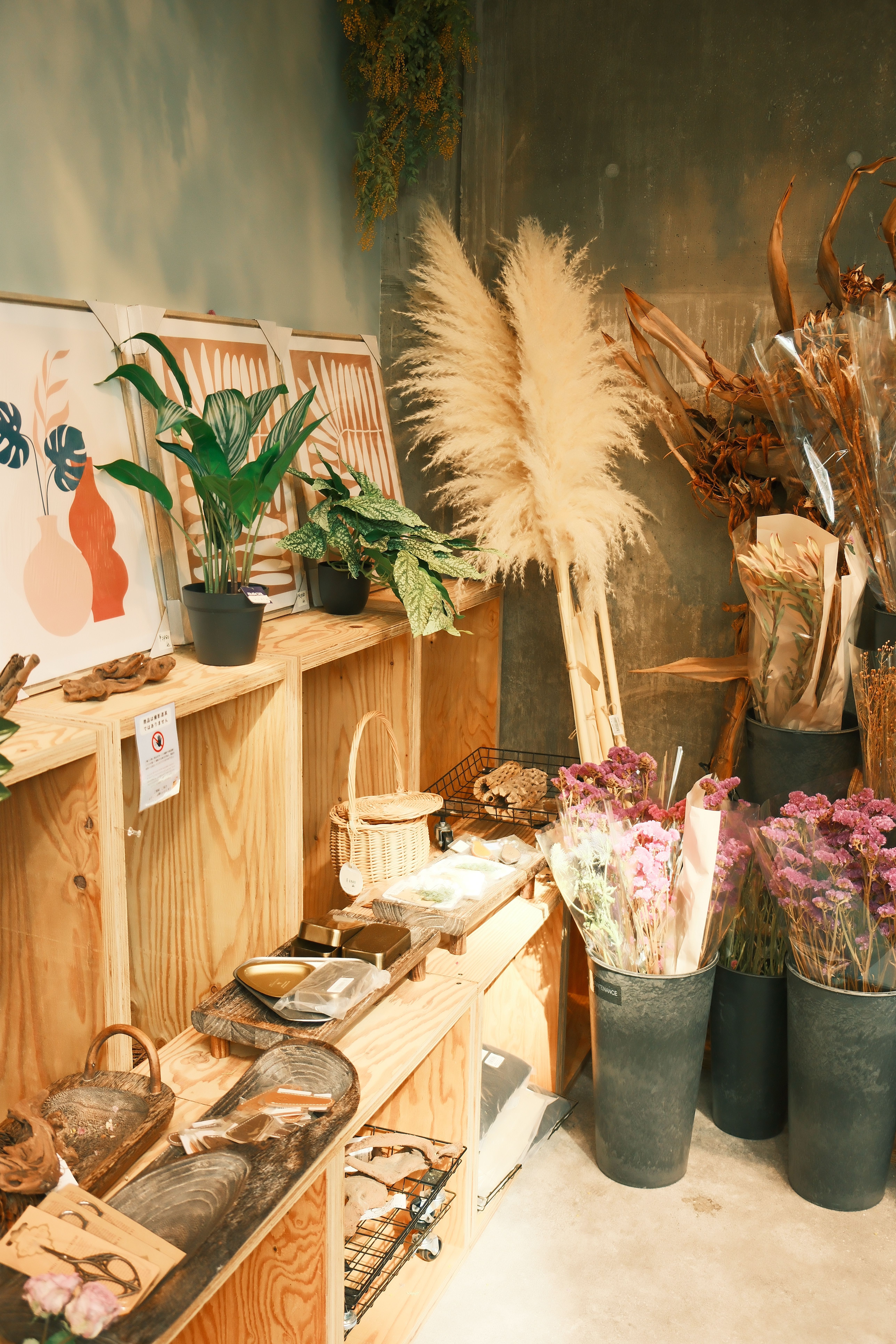 Charming Indoor Plant and Dried Flower Display · Free Stock Photo