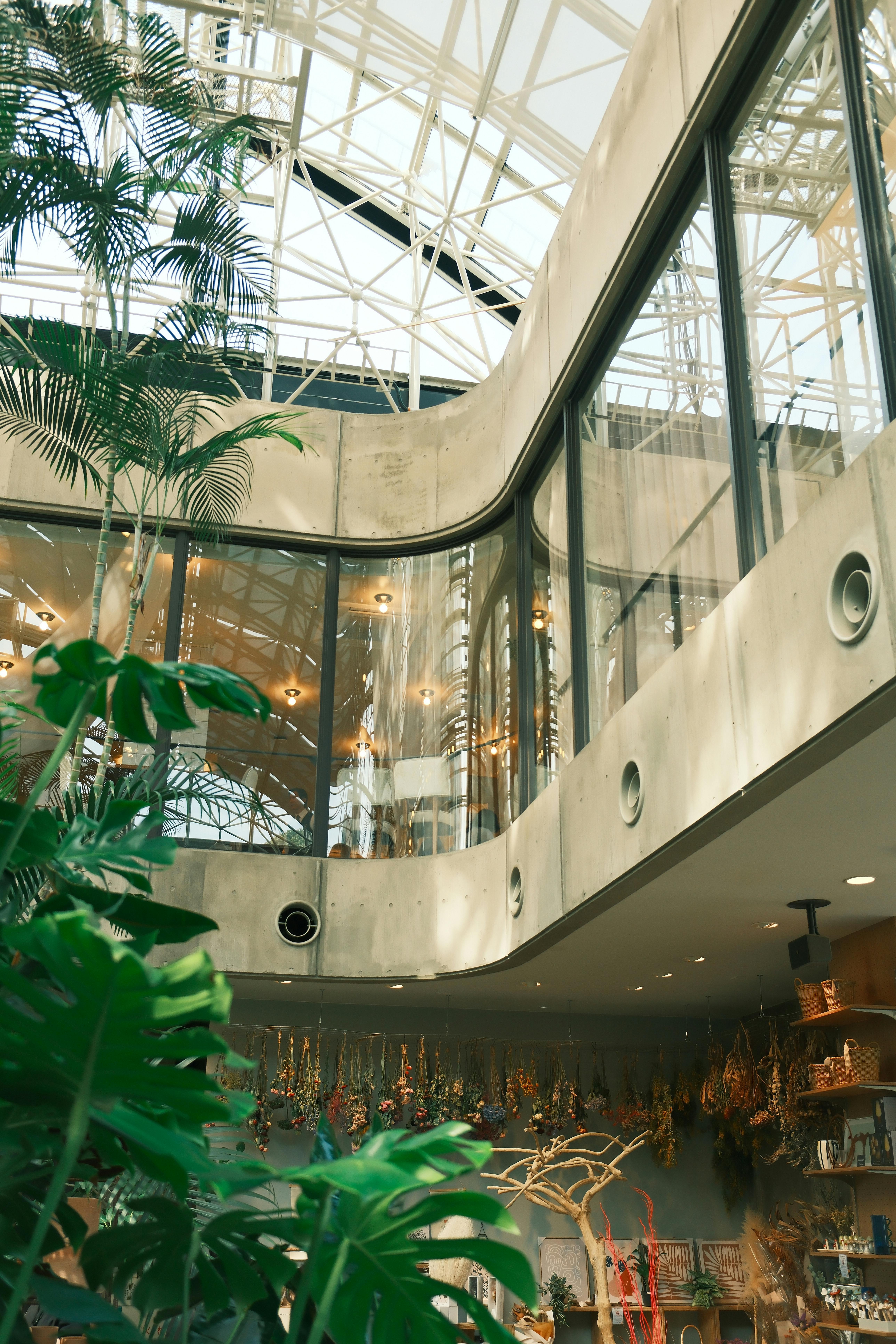 Atrium Catisi Photos, Download The BEST Free Atrium Catisi Stock Photos ...