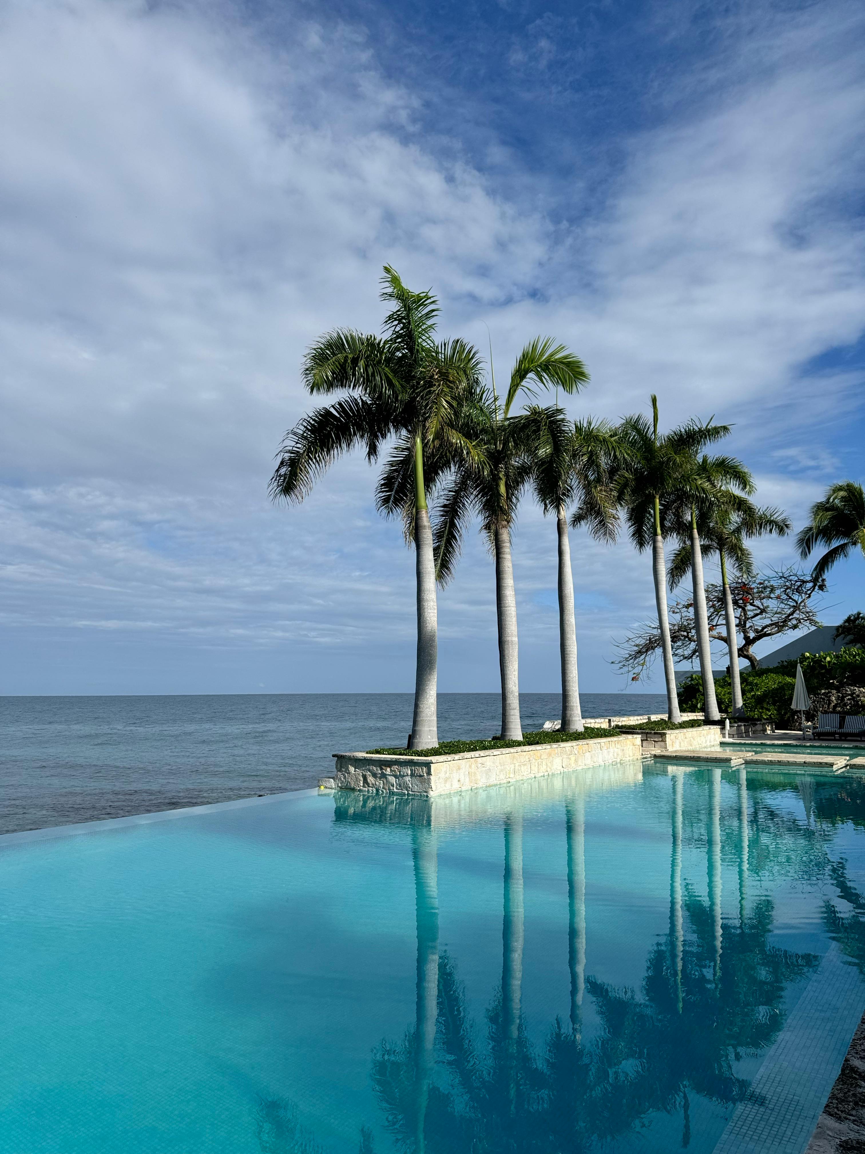 Scenic Infinity Pool with Palm Trees by Ocean · Free Stock Photo