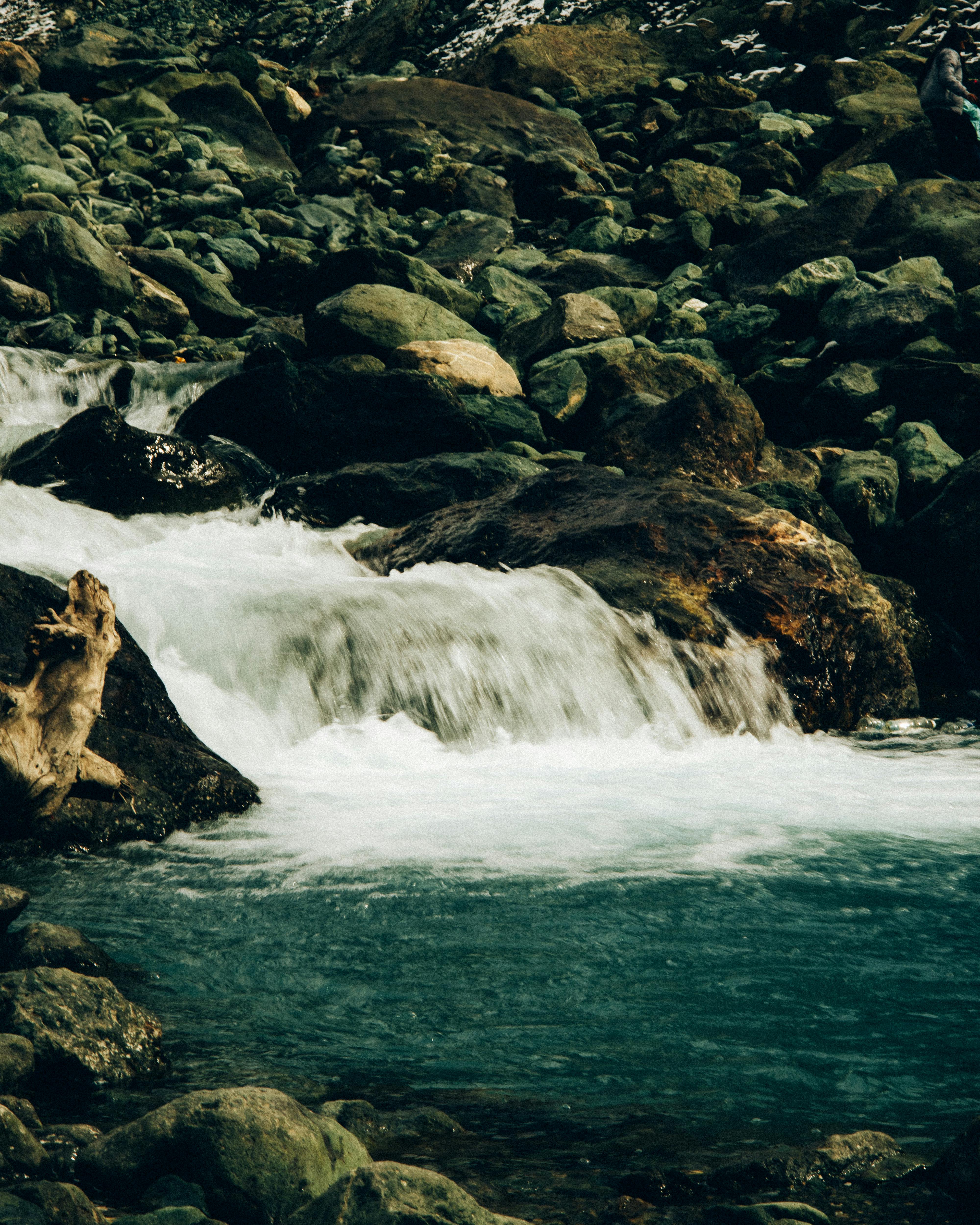 Forest 2mb Photos, Download The BEST Free Forest 2mb Stock Photos & HD ...