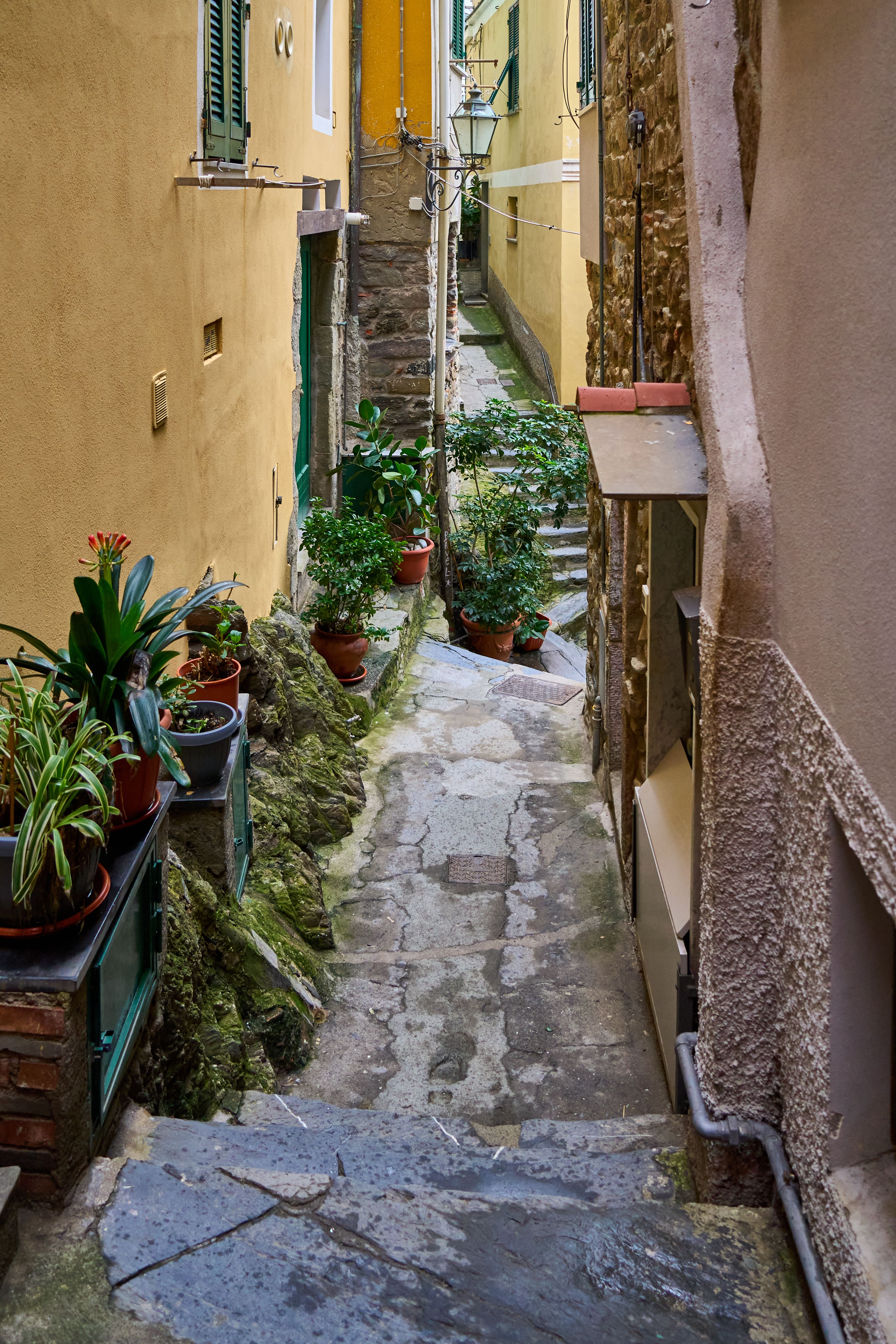 Charming Italian Alley With Potted Plants · Free Stock Photo