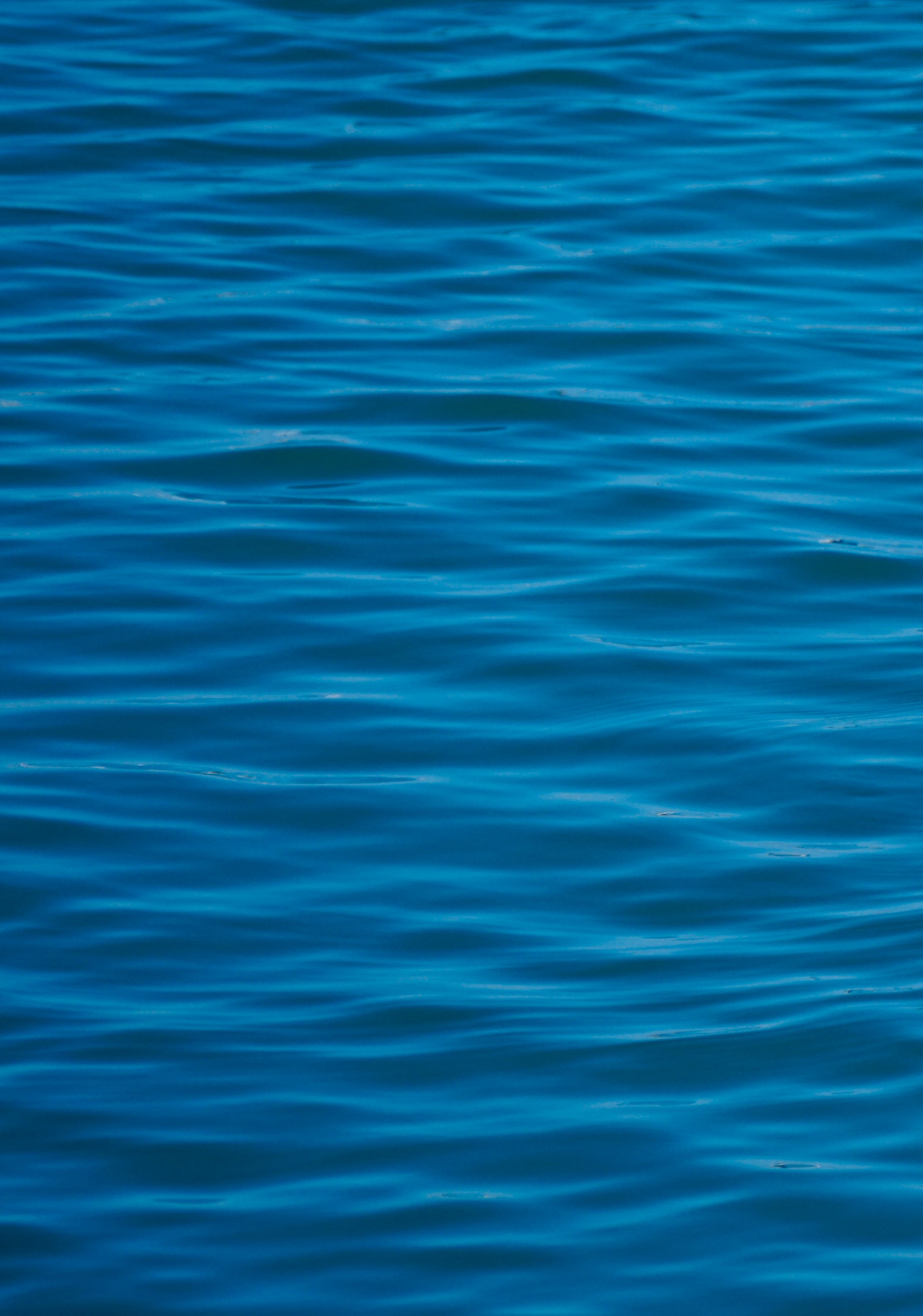 Calm Blue Water Surface in Bari, Italy · Free Stock Photo